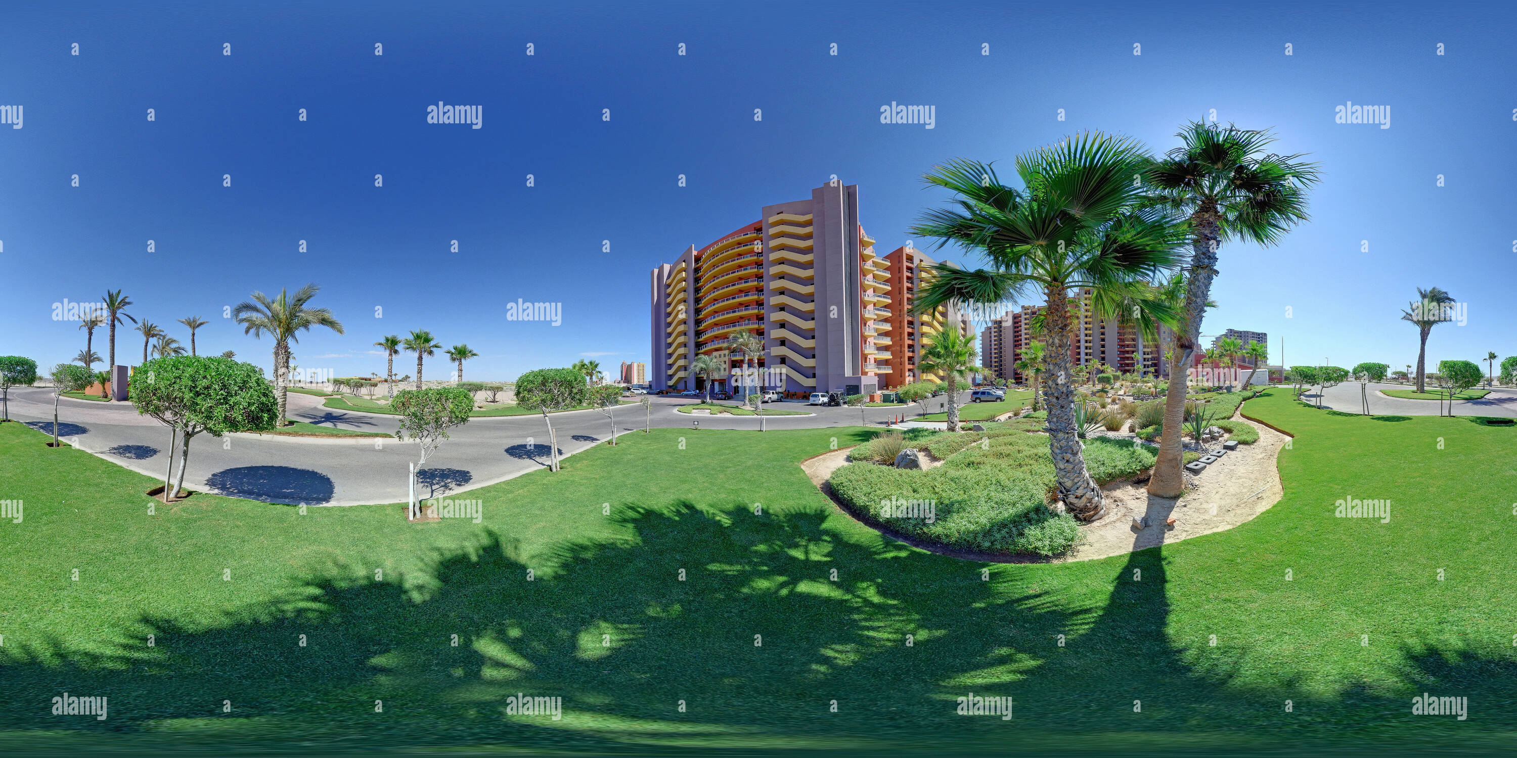 Palomas mexico hi-res stock photography and images - Alamy