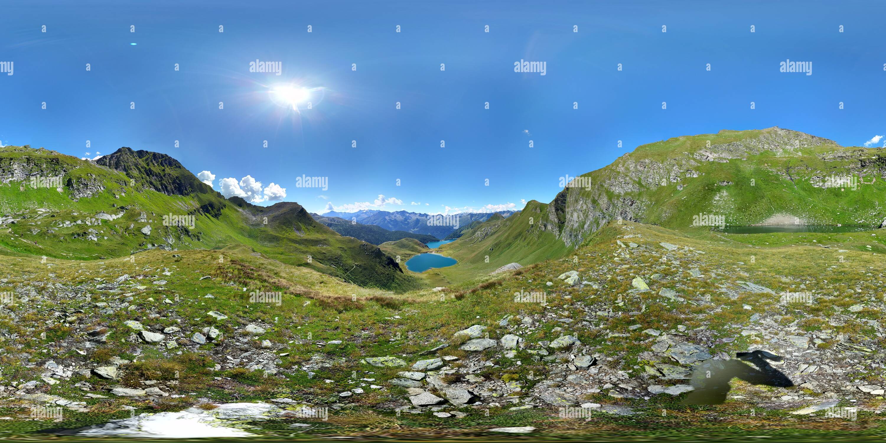Taneda hi-res stock photography and images - Alamy