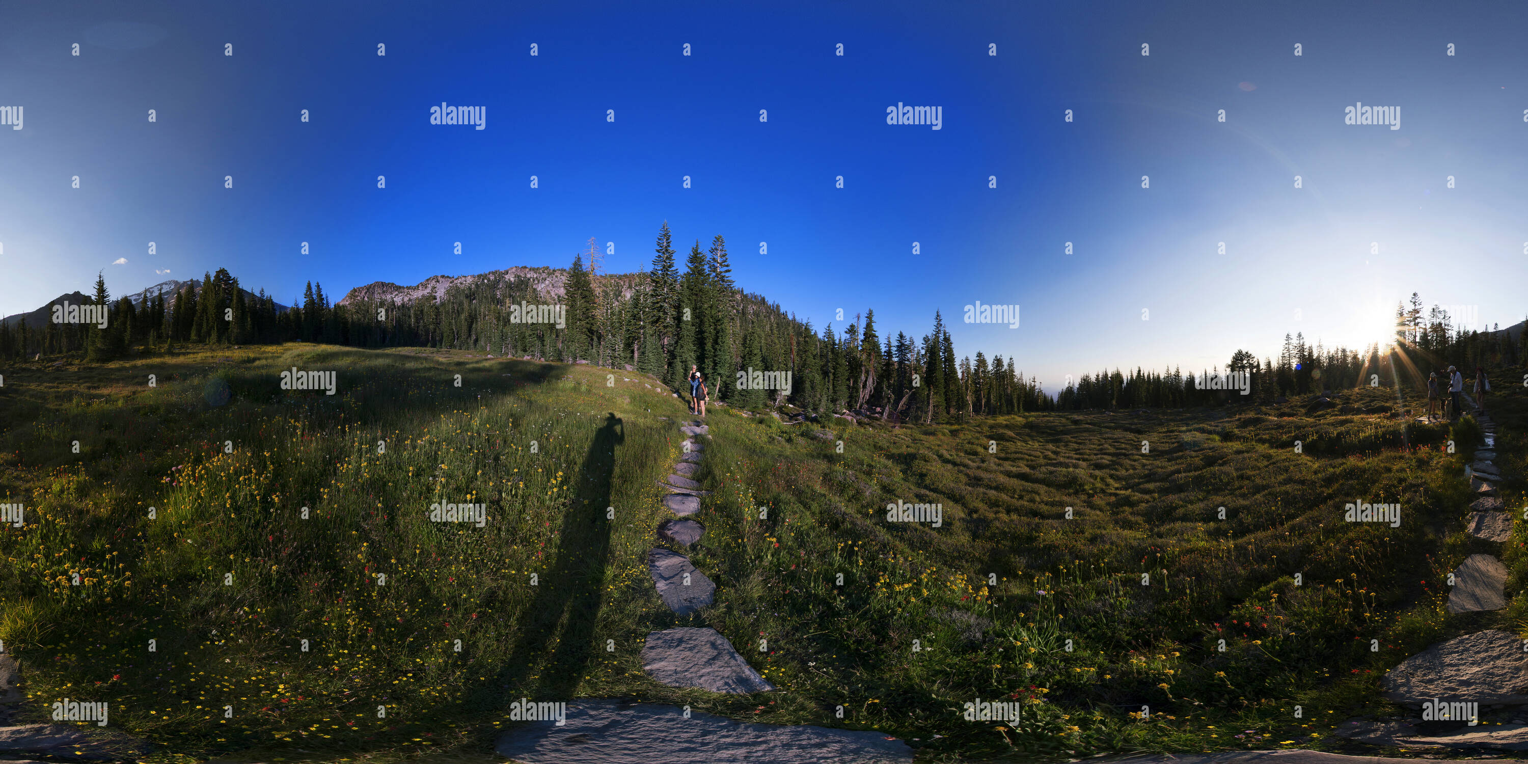 Panther meadows hi-res stock photography and images - Alamy