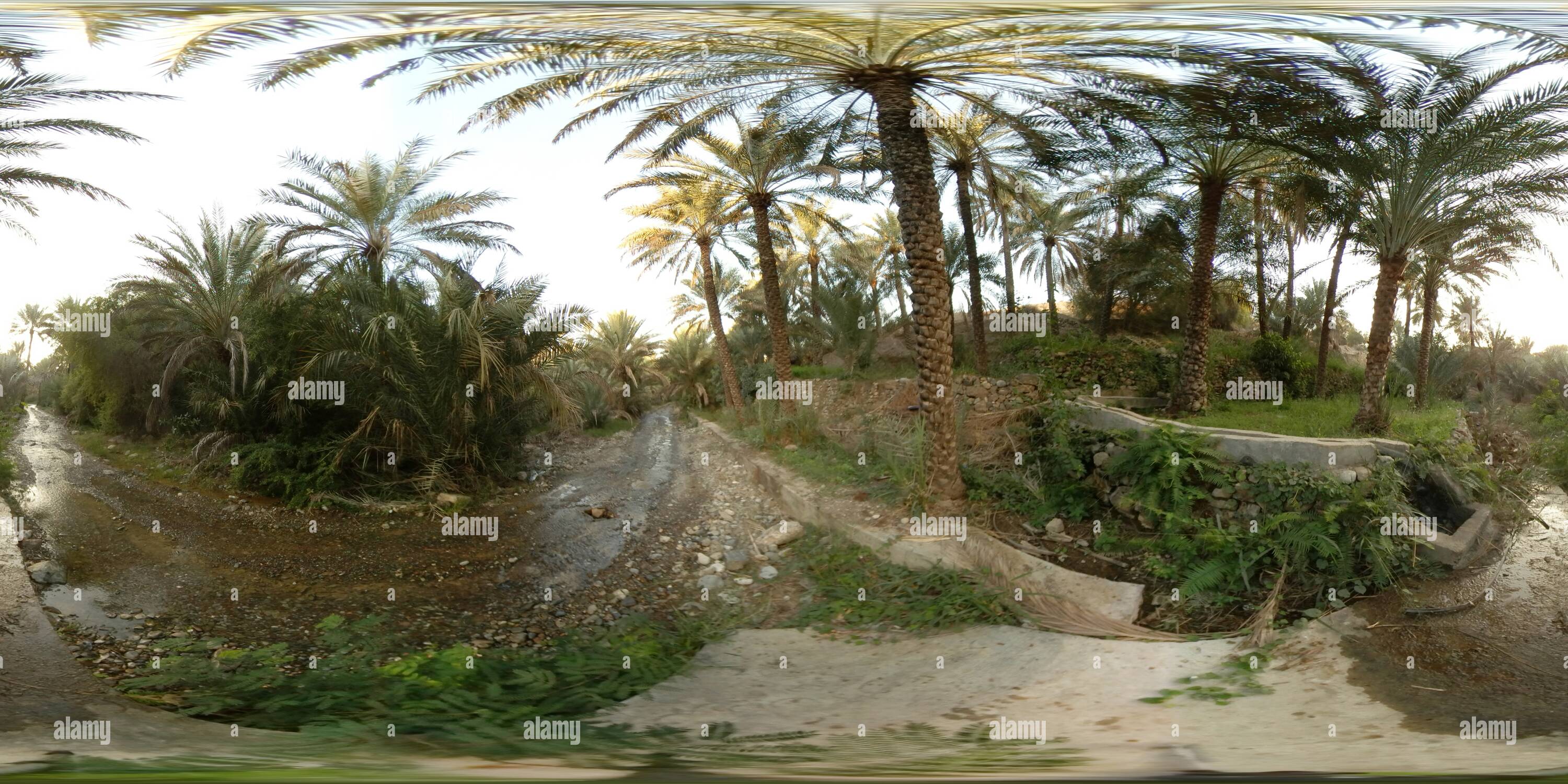 Qoor hi-res stock photography and images - Alamy