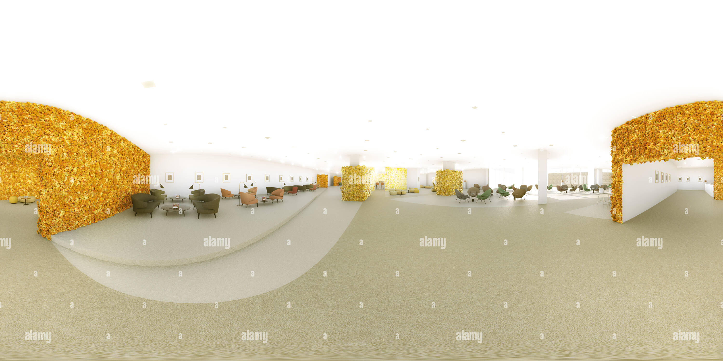 Testbild hi-res stock photography and images - Alamy