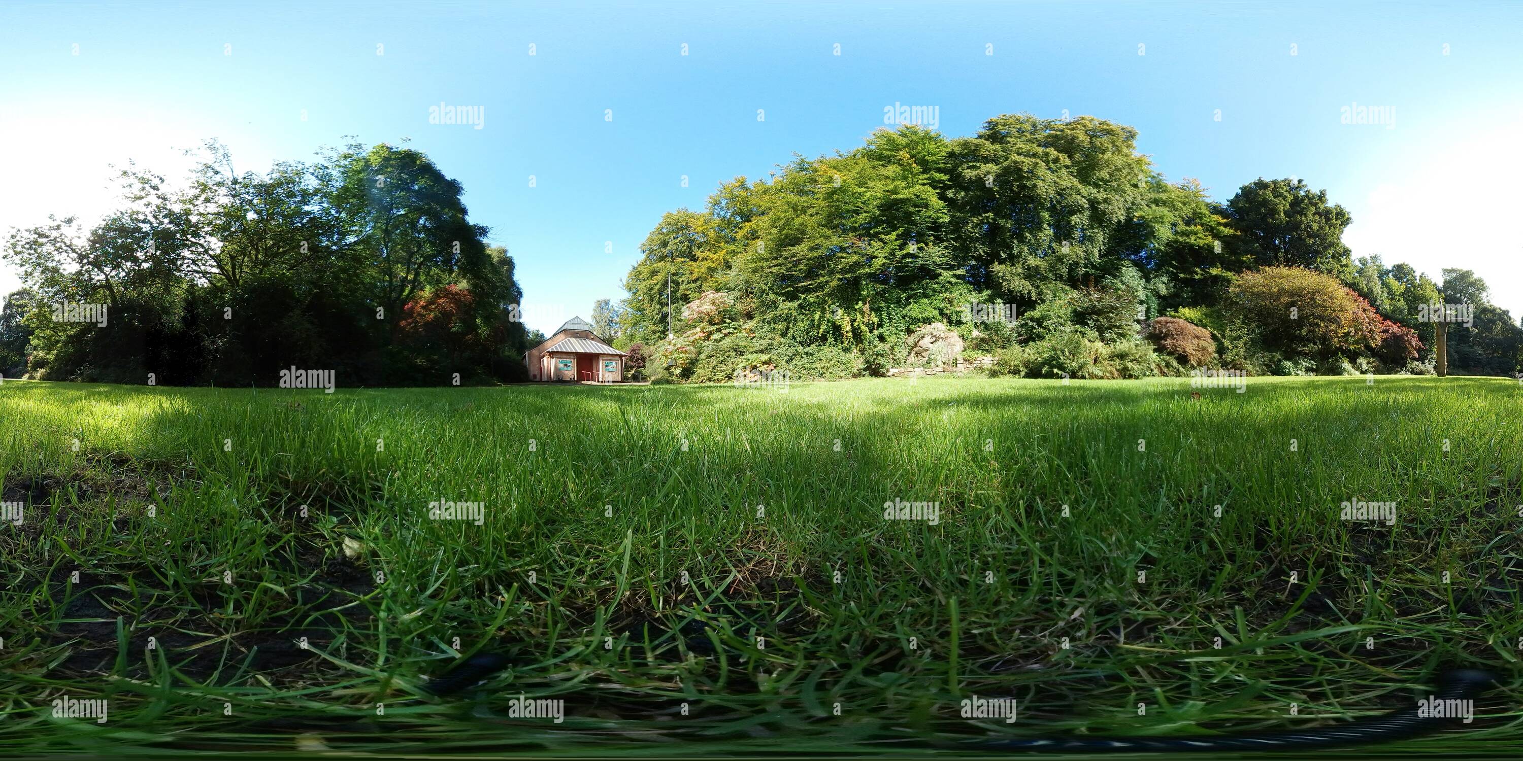 360° view of Victoria Park Fossil Grove - Alamy