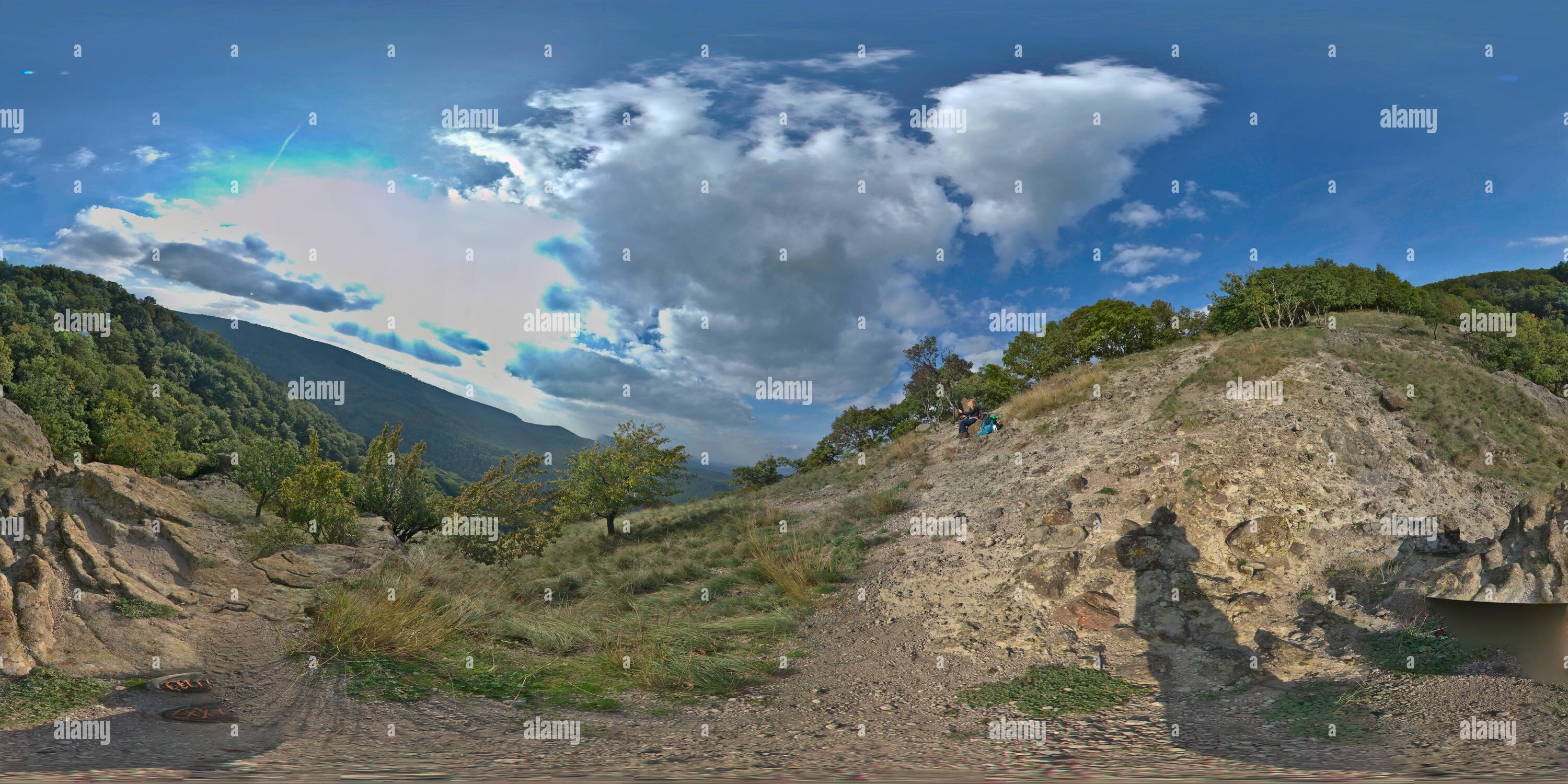 Balking hi-res stock photography and images - Alamy