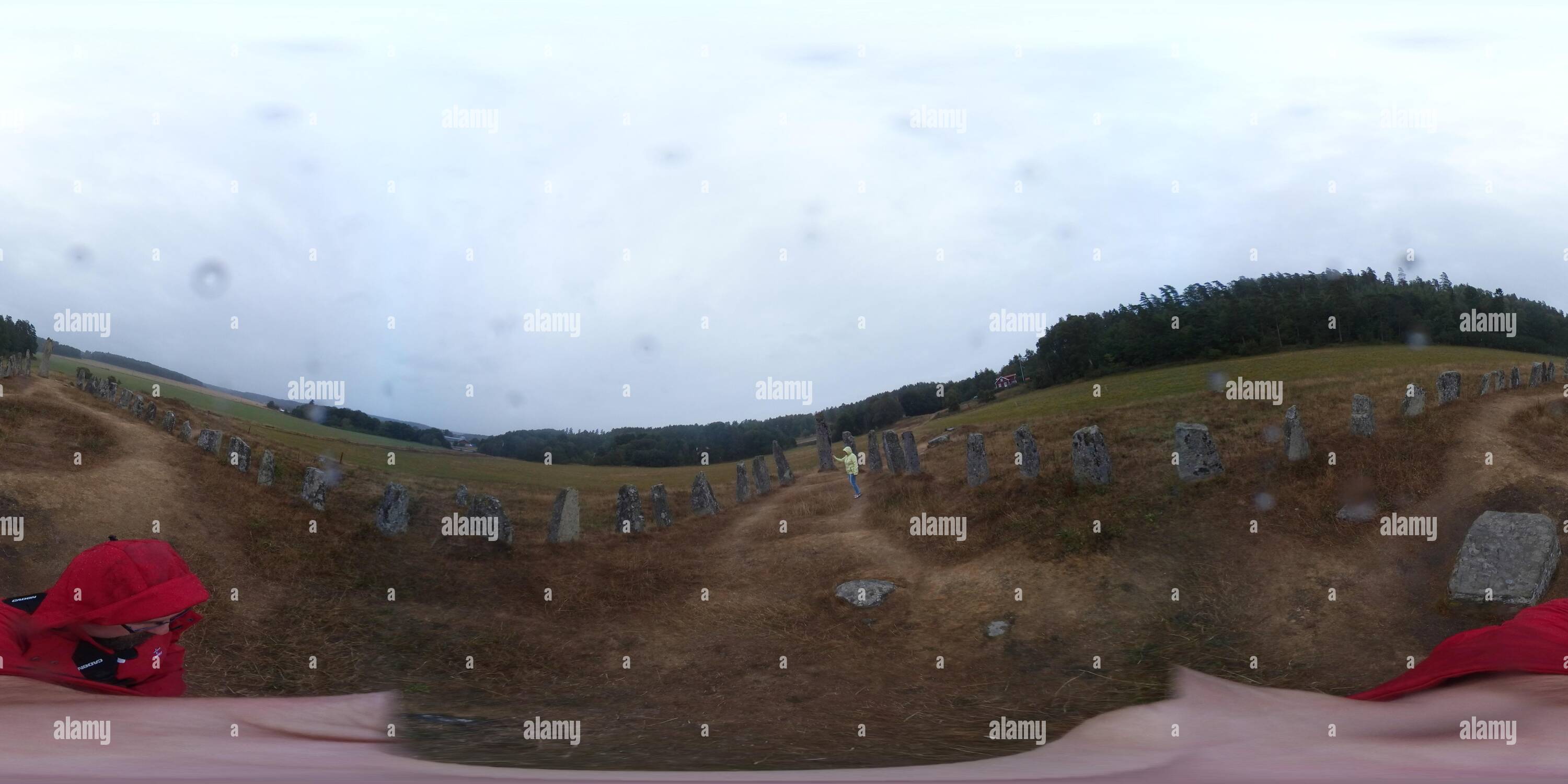 Blomsholm sweden hi-res stock photography and images - Alamy