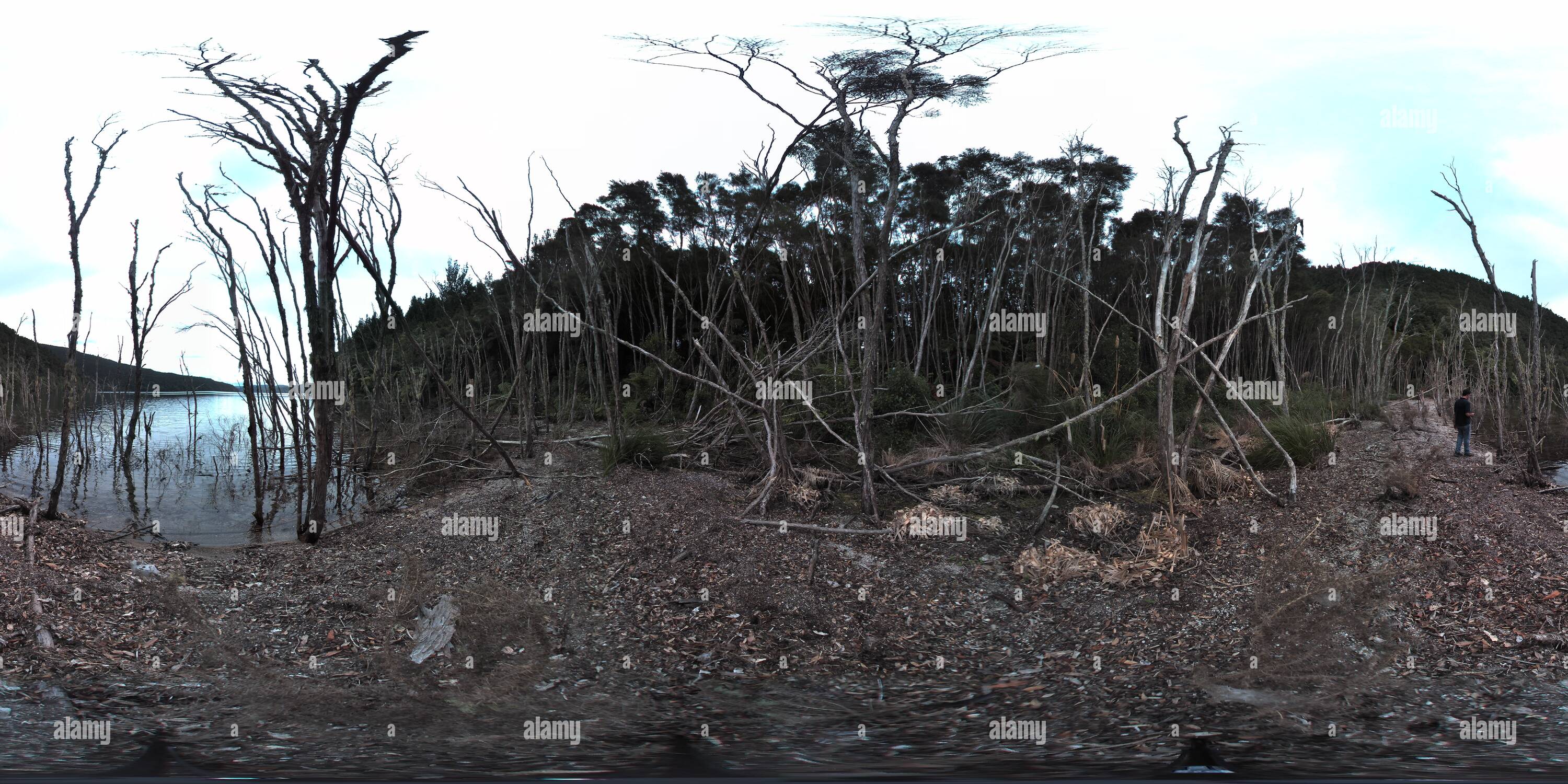 360° view of Lake Okataina one - Alamy