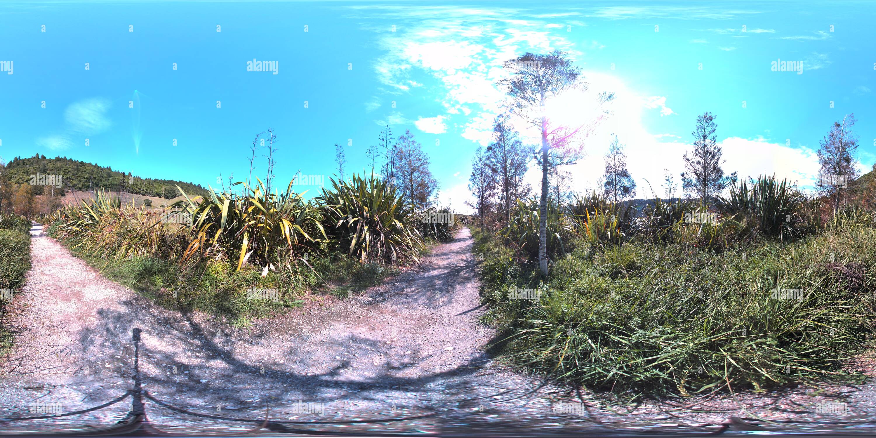 360° view of lake okareka two - Alamy