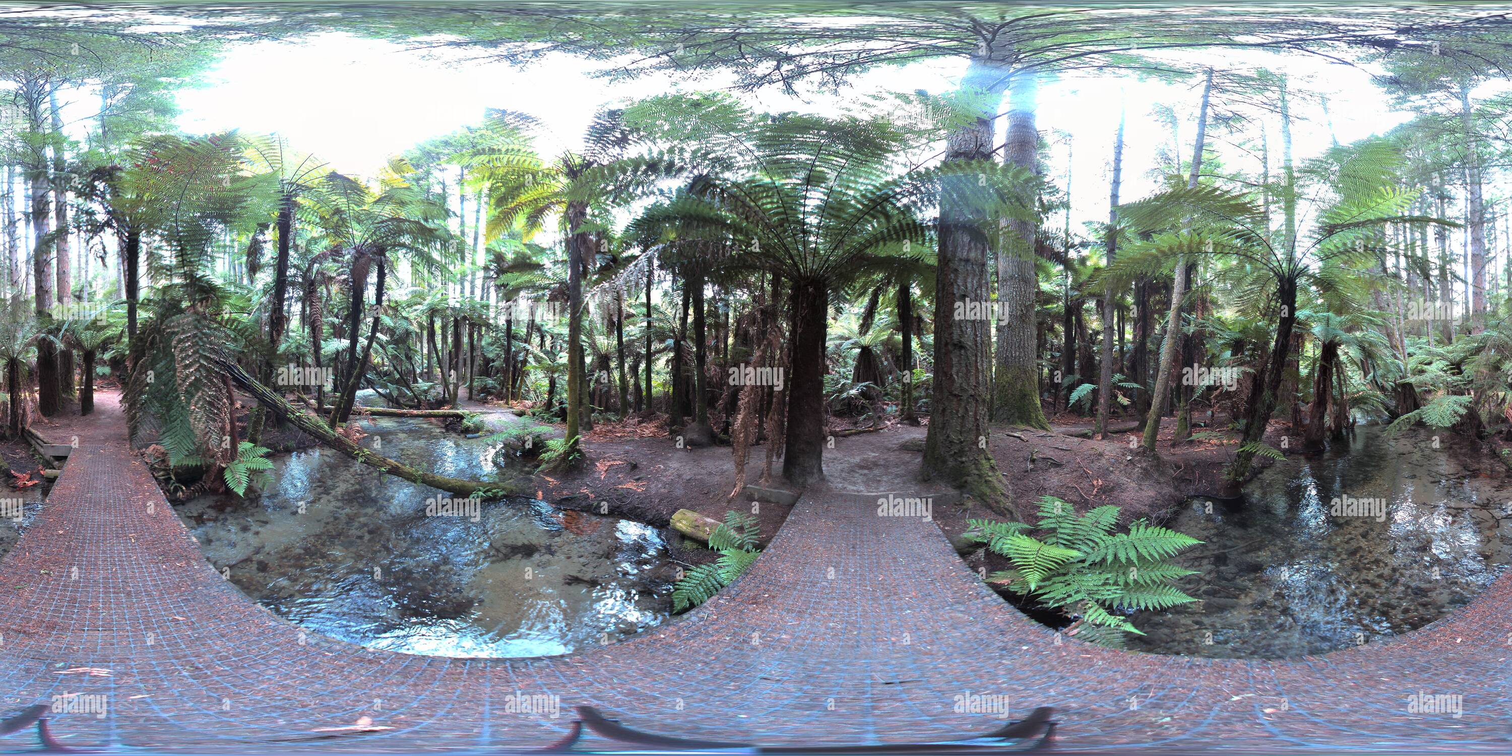 Waipa bridge hi-res stock photography and images - Alamy