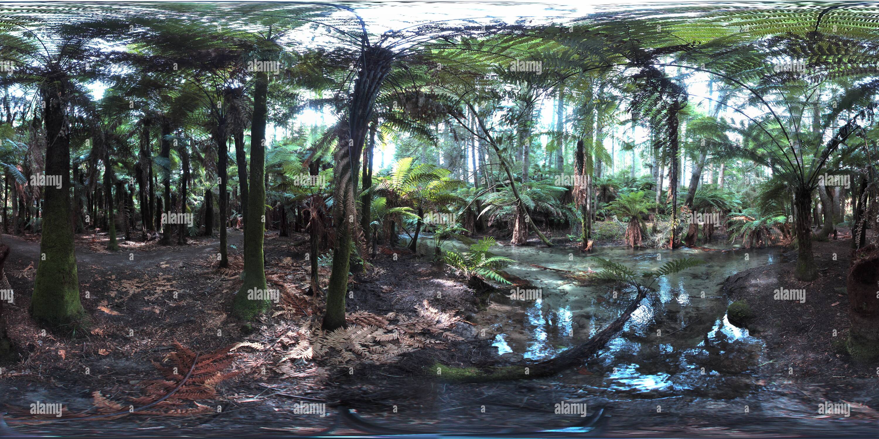 360° view of waipa river waling - Alamy