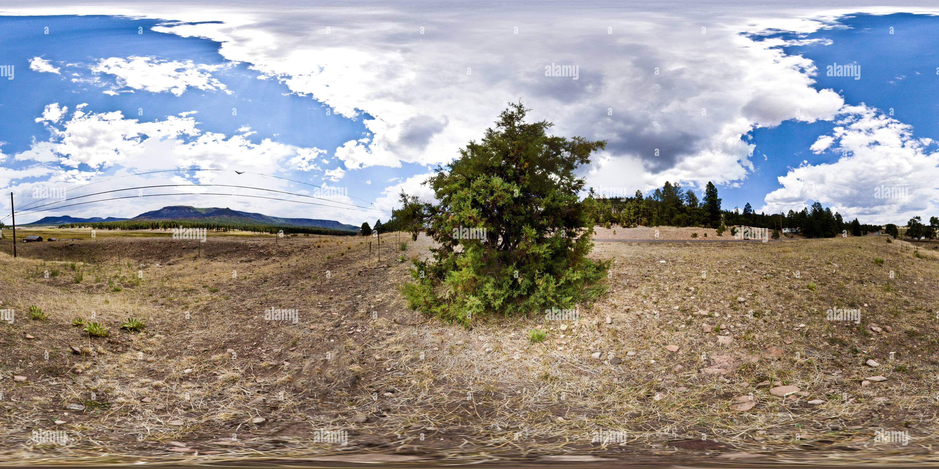 360° view of Wallow Fire Burn, Alpine Valley, Alpine, Arizona USA - Alamy