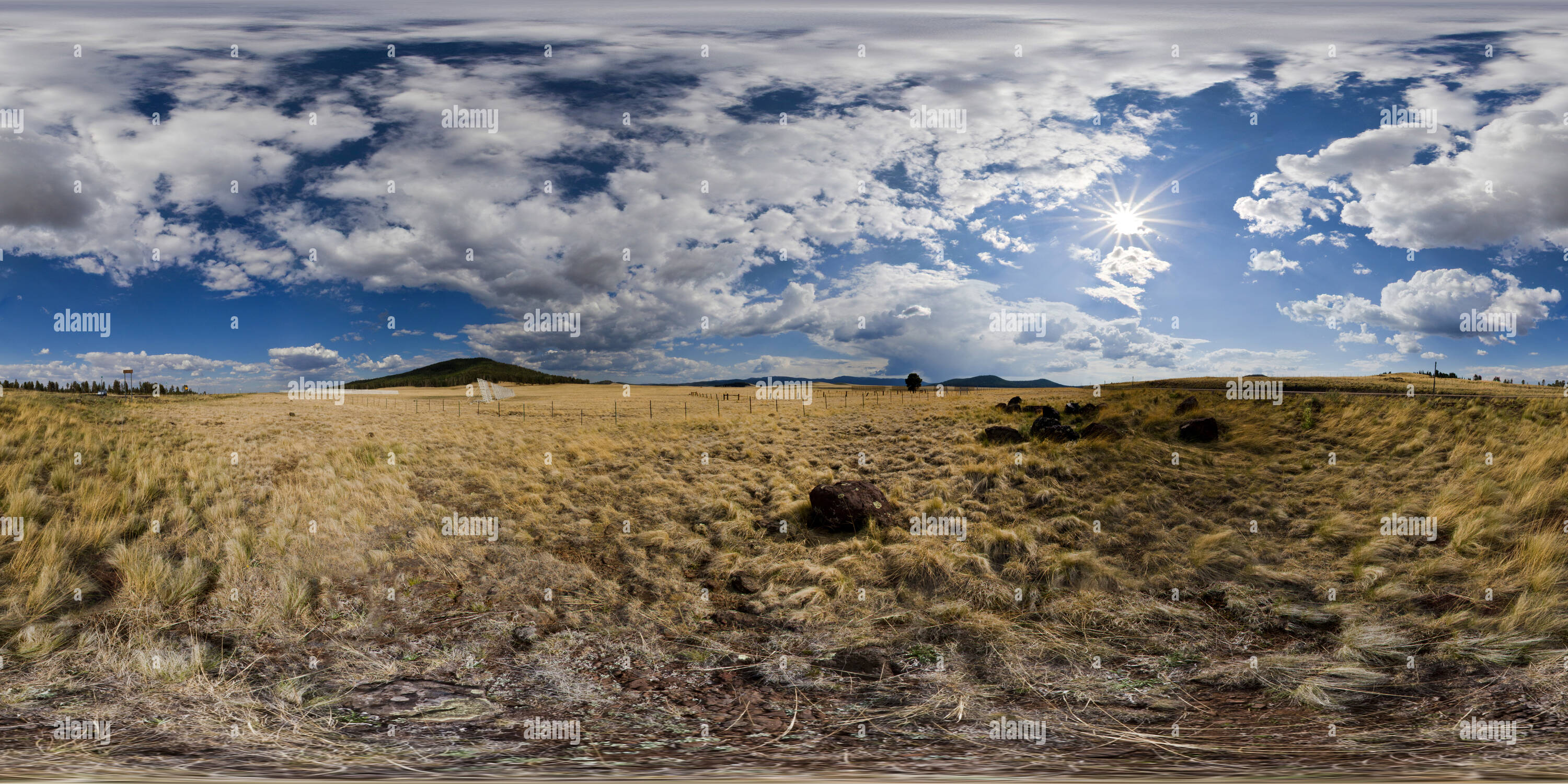 360° view of White Mountain Meadow, Near Highways 260 and 273, Arizona ...