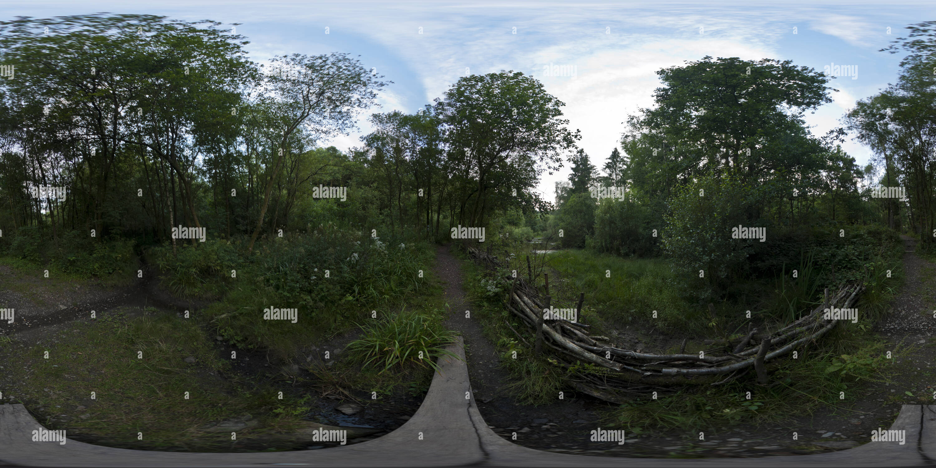 Werin hi-res stock photography and images - Alamy