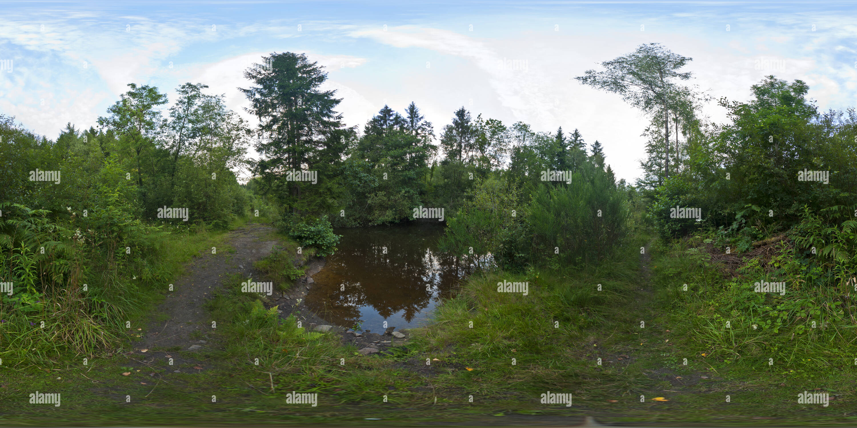 Werin hi-res stock photography and images - Alamy