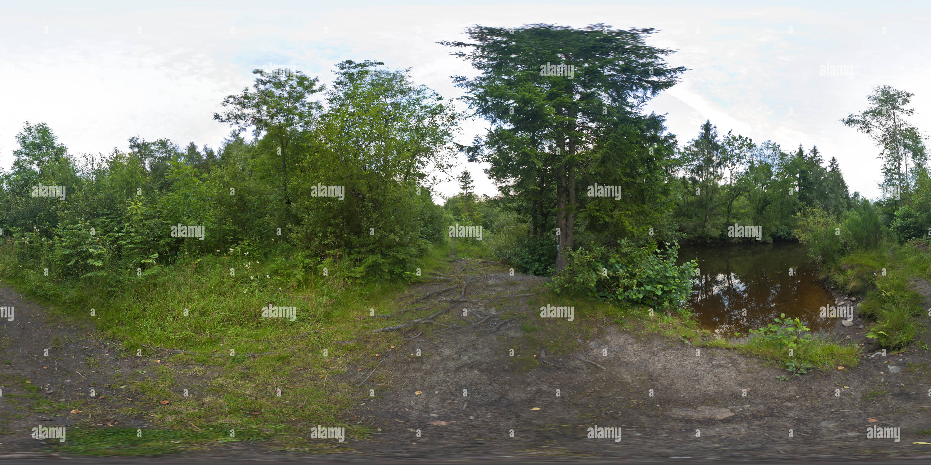 Werin hi-res stock photography and images - Alamy