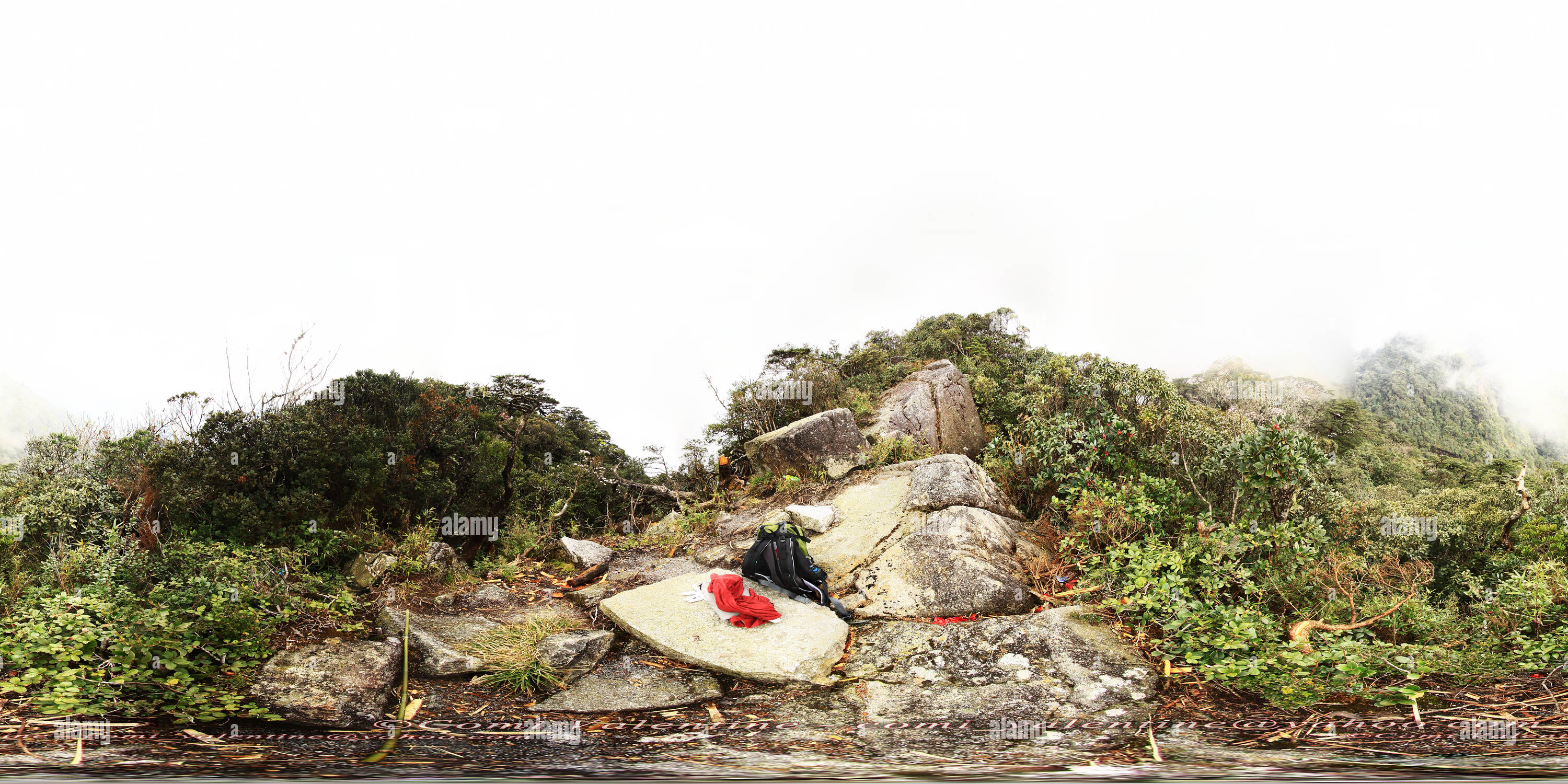 Fanxipan hi-res stock photography and images - Alamy