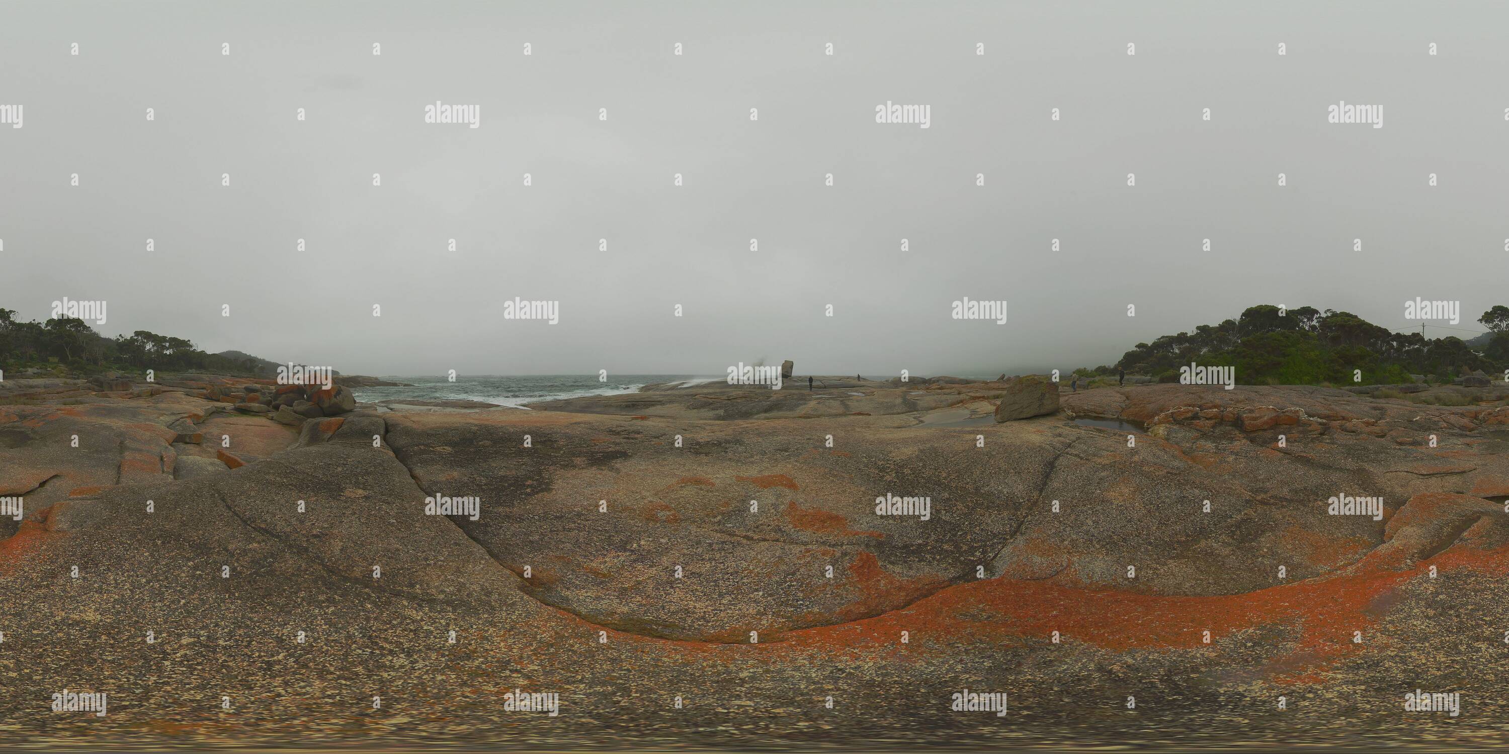 Bicheno blowhole hi-res stock photography and images - Alamy
