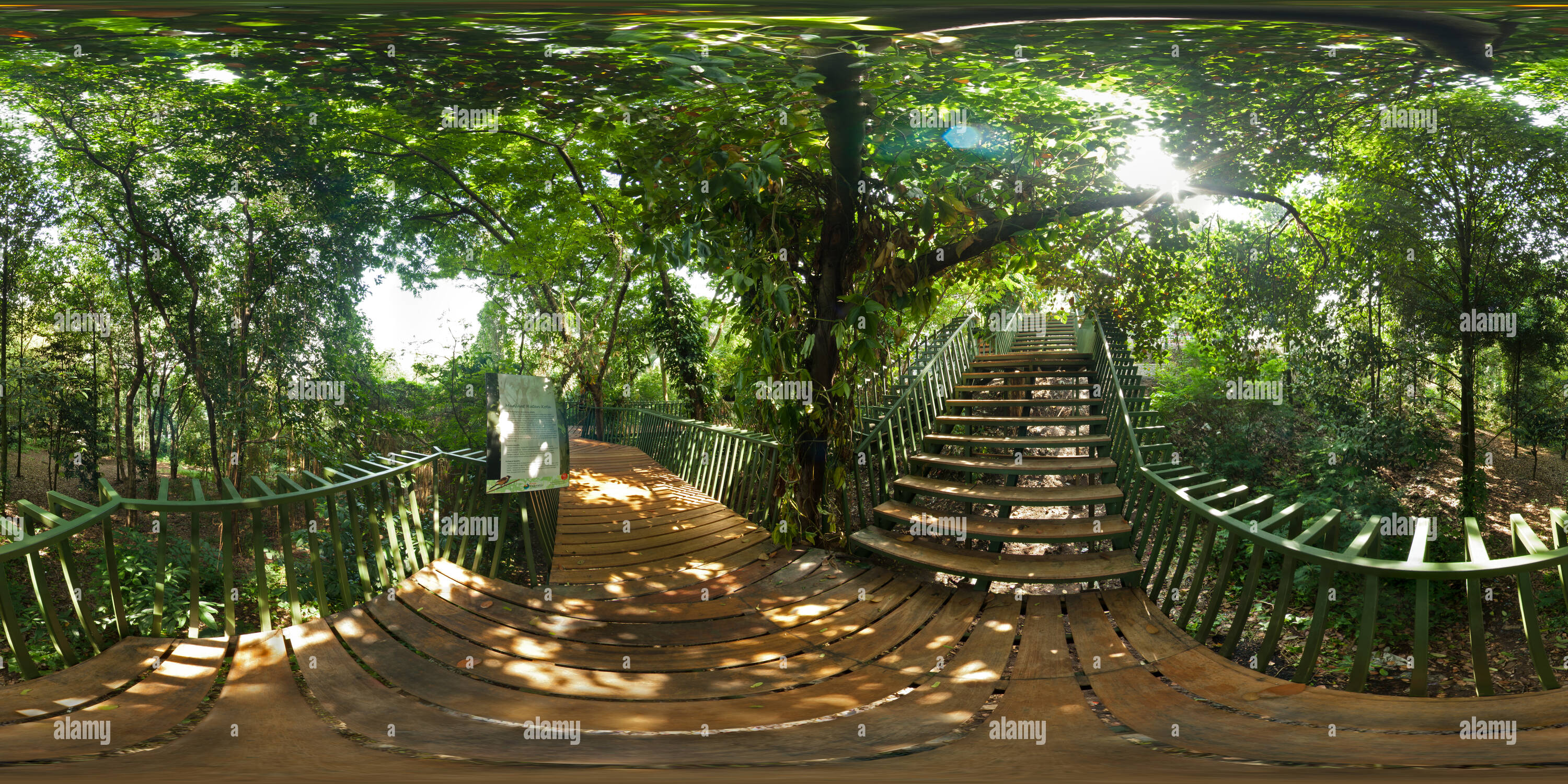 360° view of Forest Corridor B, Babakan Siliwangi, Bandung - Alamy