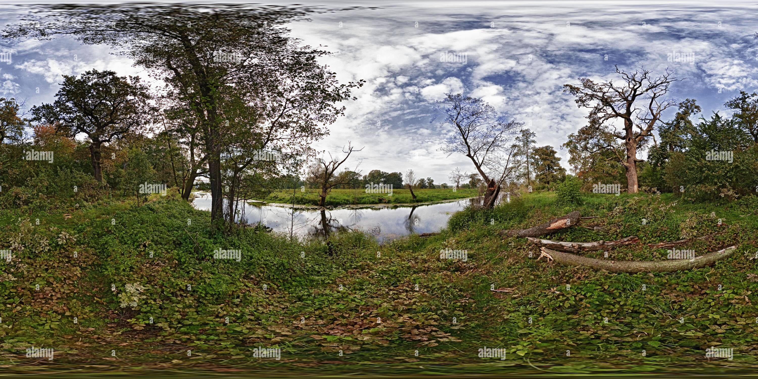 360° view of Rogalin Landscape Park #1 - Alamy