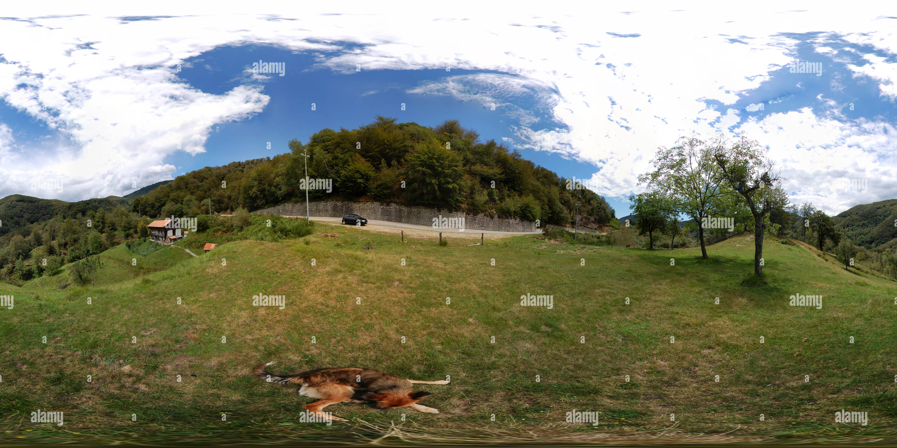 360° view of Arola, panorama with dog - Alamy