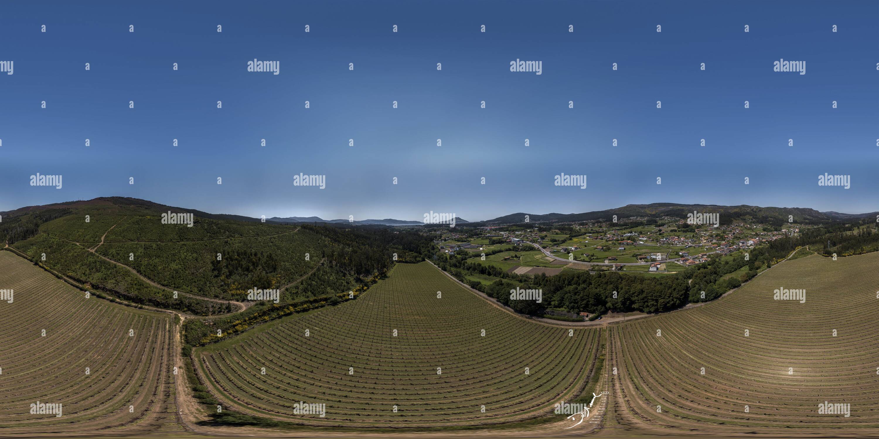 360° view of Fornelos, O Rosal vineyards of the wineries Lagar de ...
