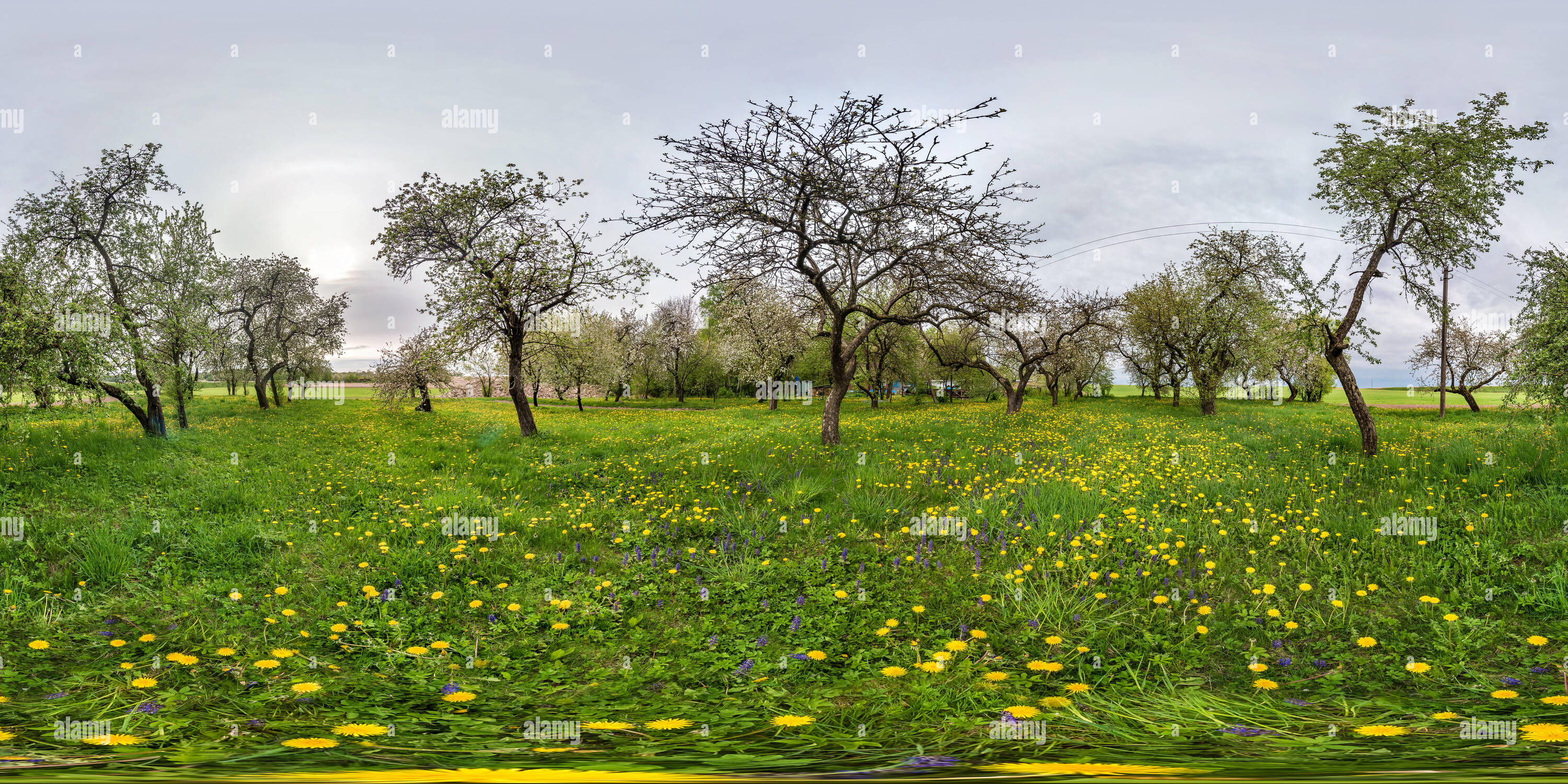 360° view of full seamless spherical panorama 360 degrees angle view in ...