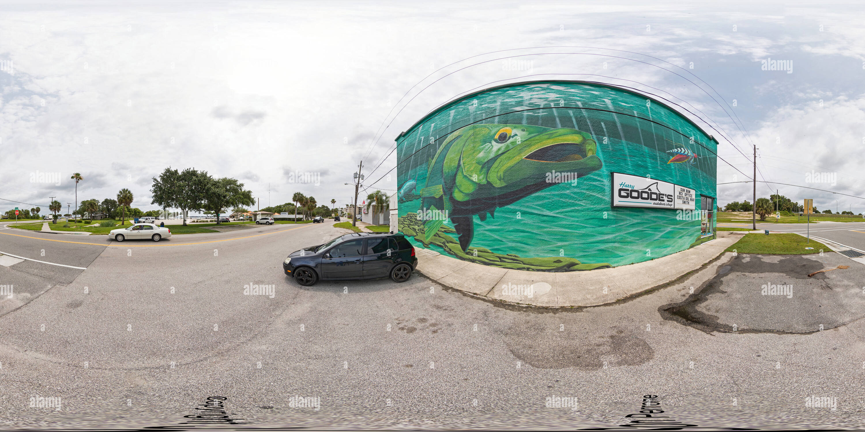 360° view of Snook Mural by Mike McClusky - Alamy