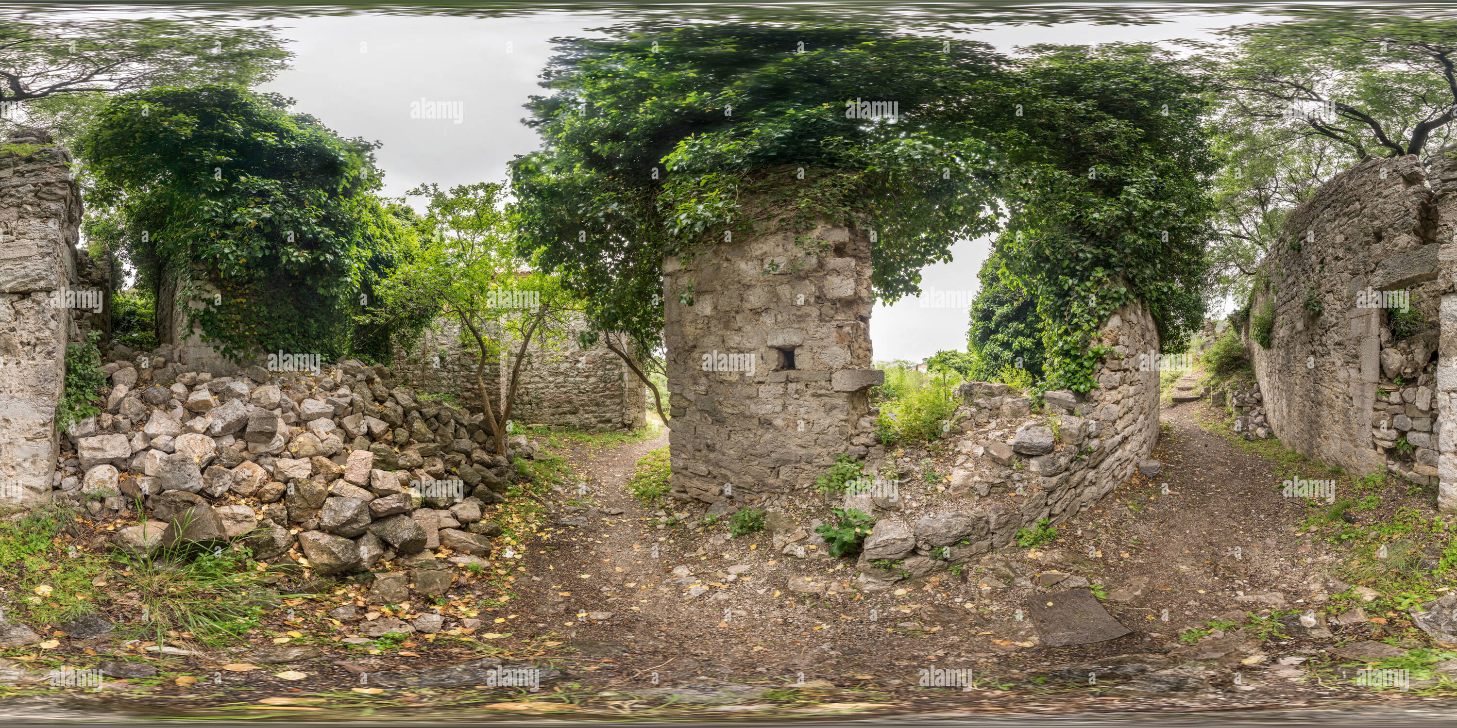 360° view of Street in Old Bar - Alamy