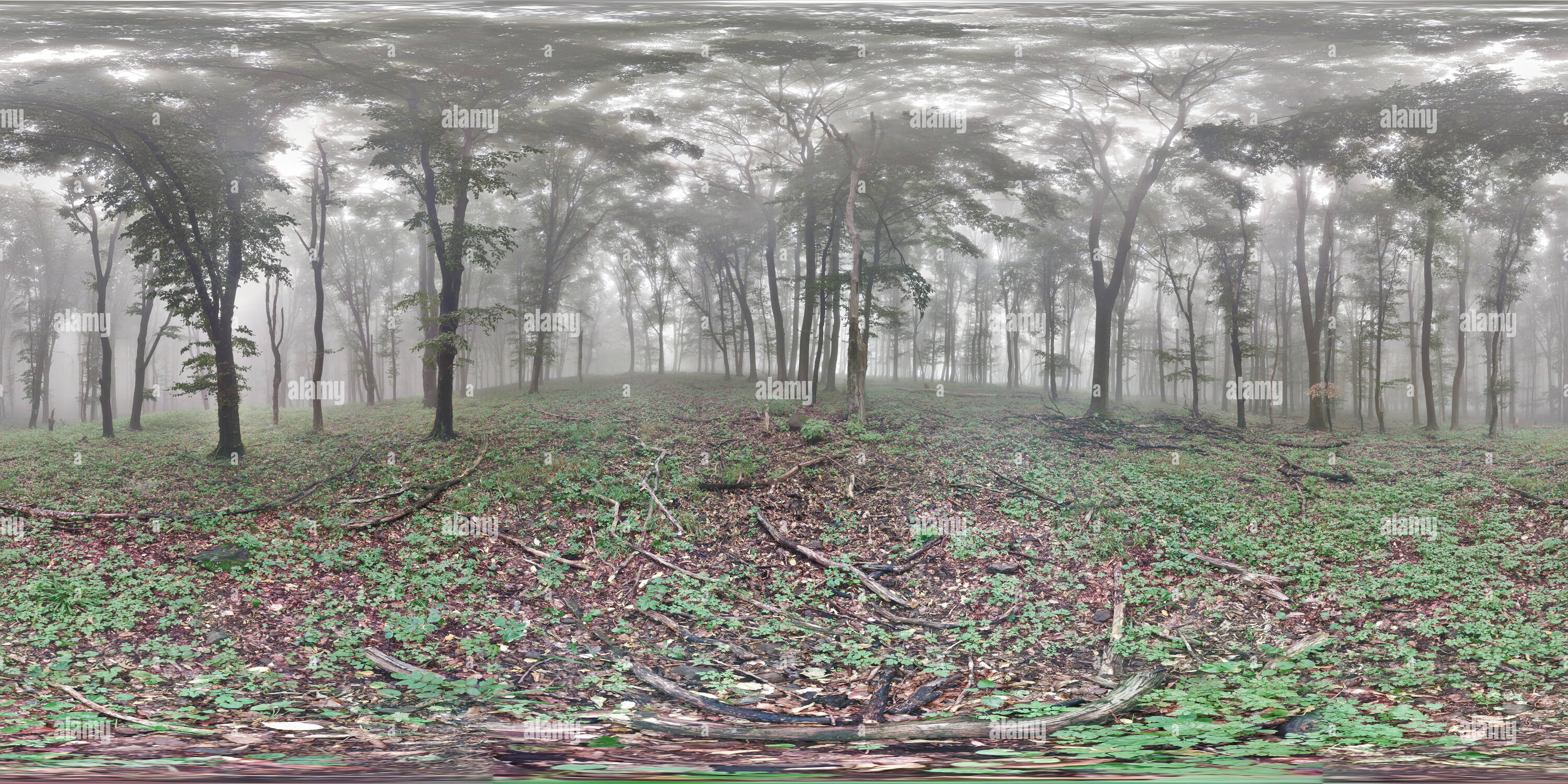 Csor hi-res stock photography and images - Alamy