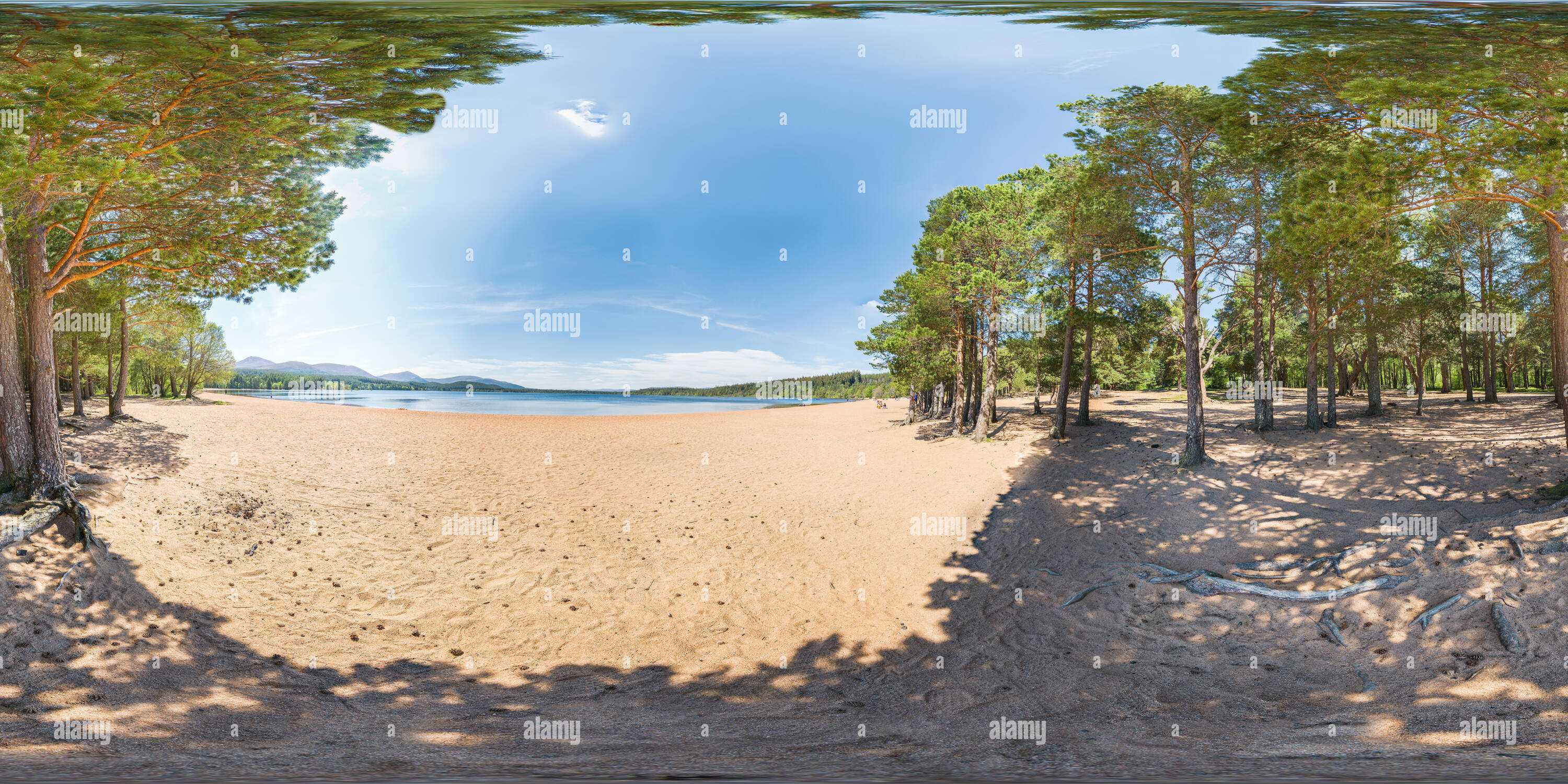 360° view of Sandy beach at the waterside of Loch Morlich at Glenmore ...
