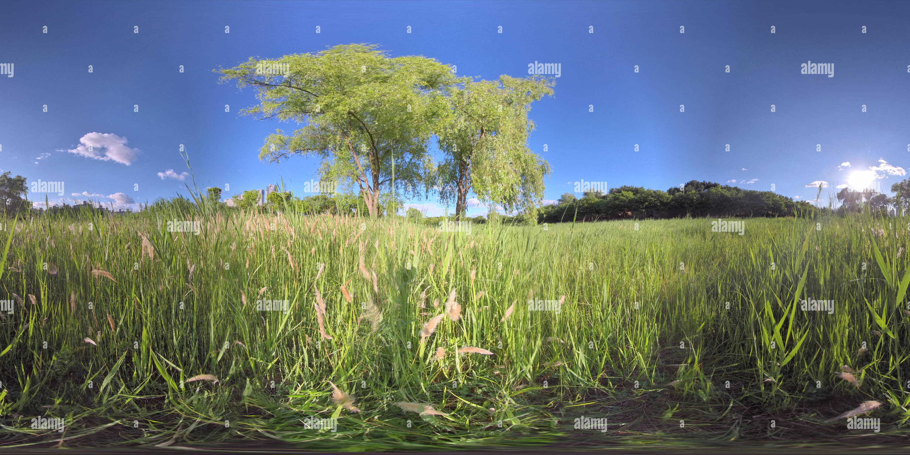 360° view of Ansan, South Korea - 7 June 2019. Panorama 360 degrees ...