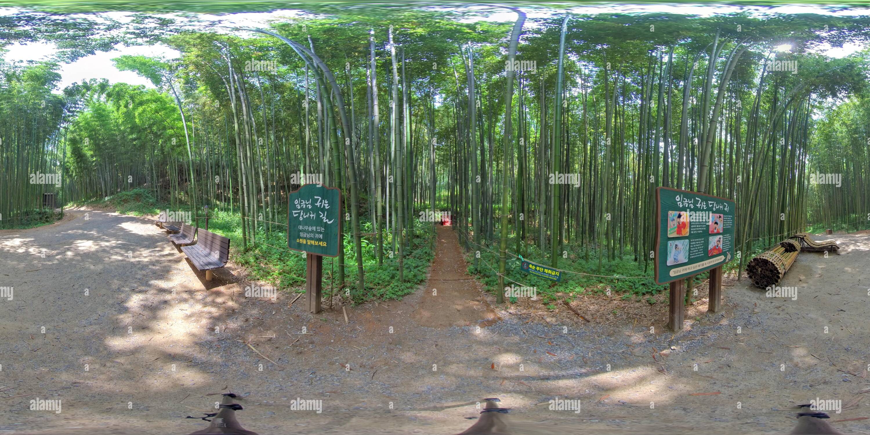 360° view of Damyang, South Korea - 24 July 2019 Juknokwon. 360 degrees ...