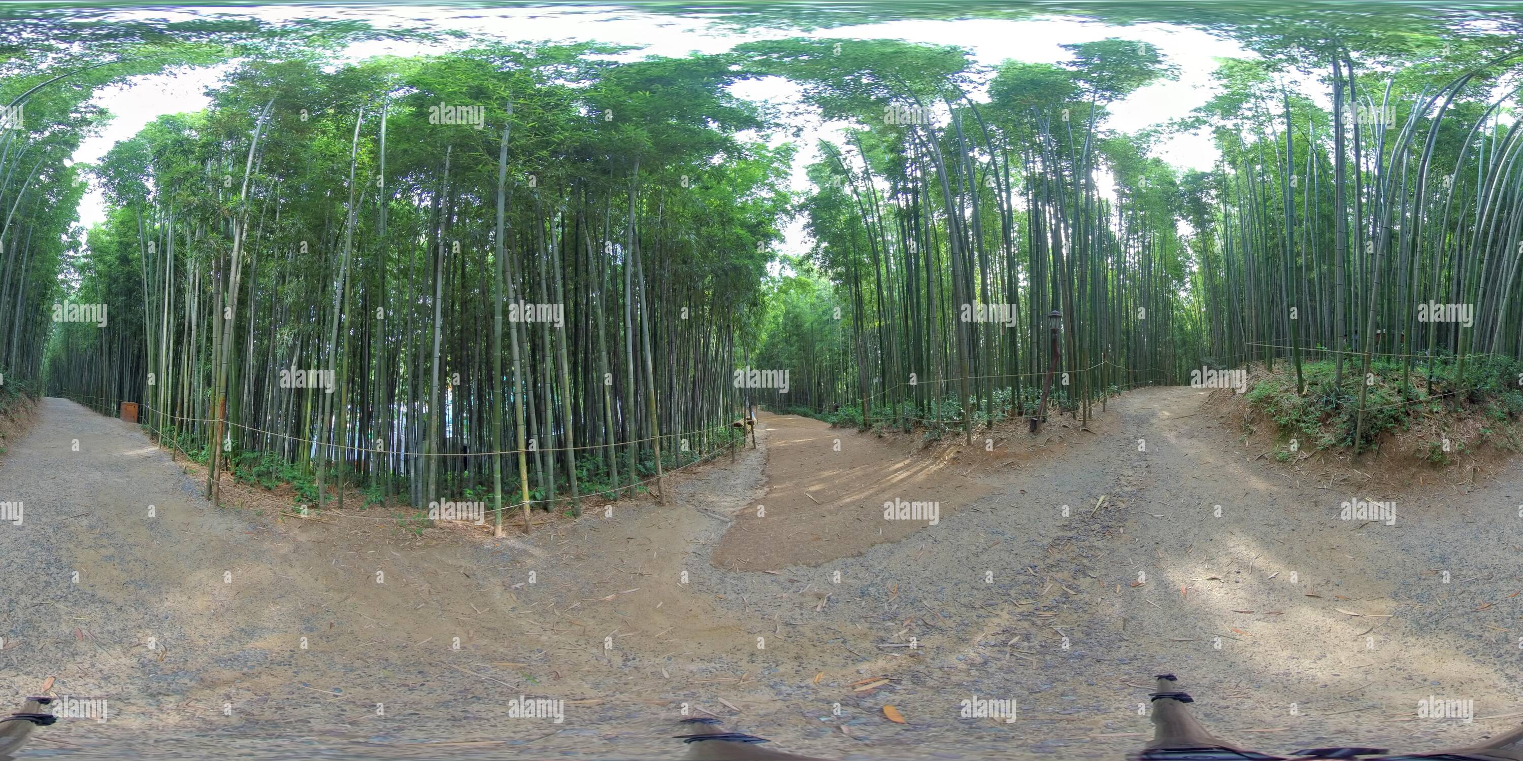360° view of Damyang, South Korea - 24 July 2019 Juknokwon. 360 degrees ...