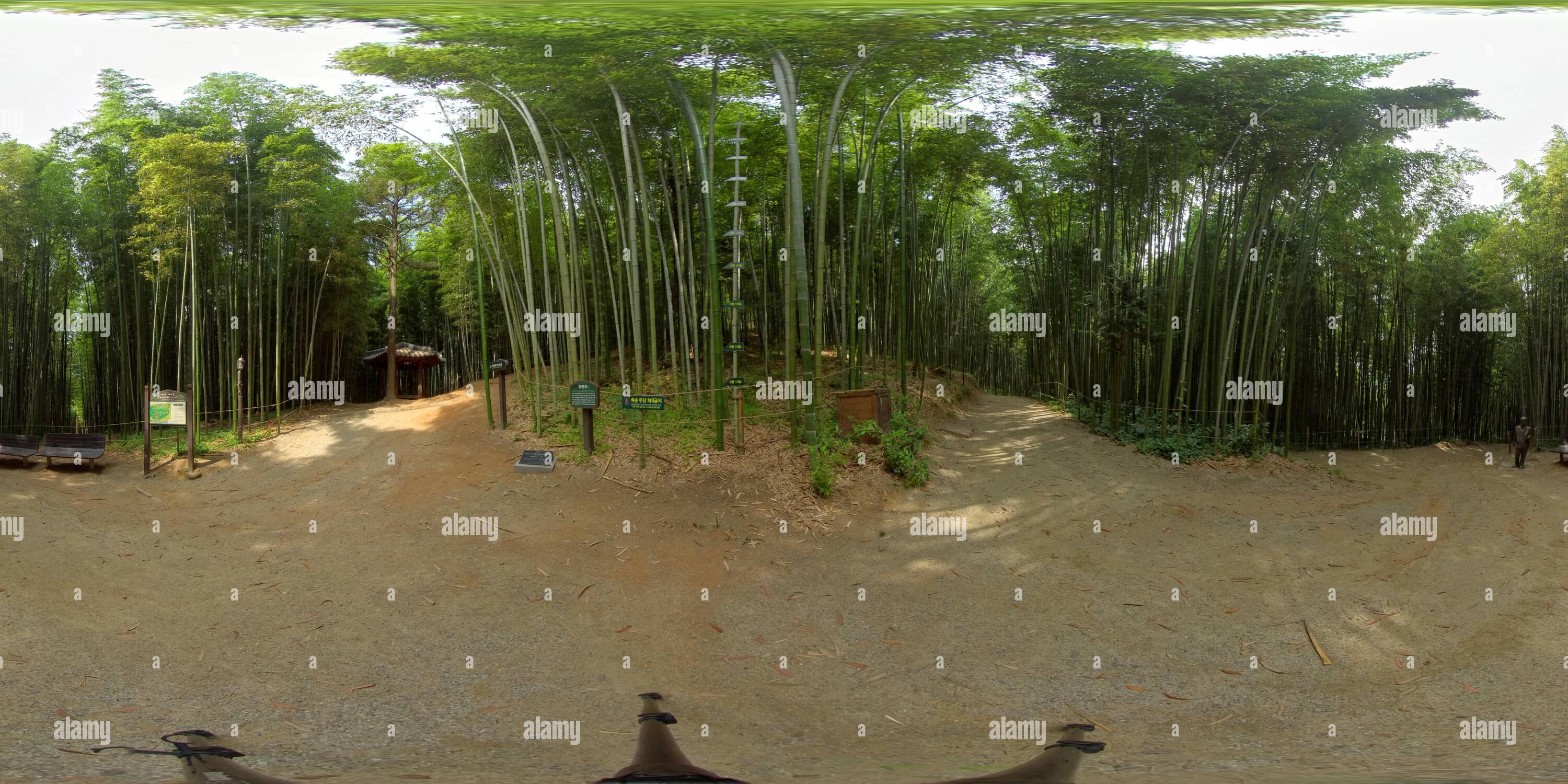 360° view of Damyang, South Korea - 24 July 2019 Juknokwon. 360 degrees ...