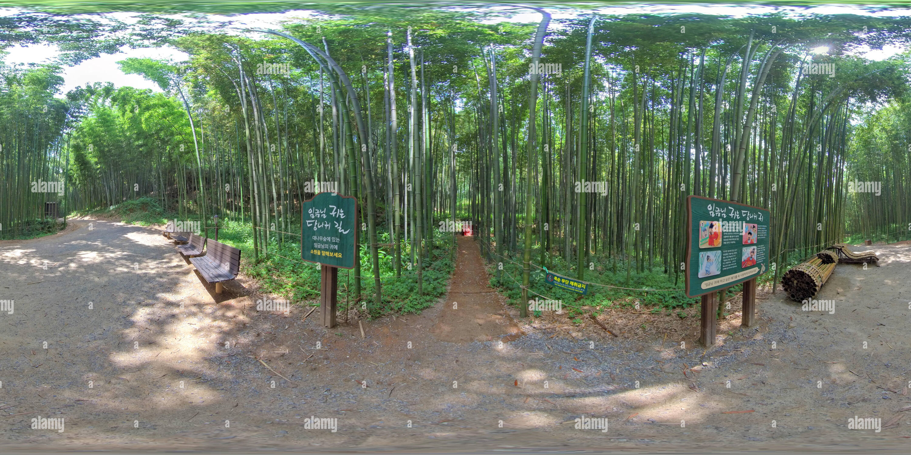 360° view of Damyang, South Korea - 24 July 2019 Juknokwon. 360 degrees ...