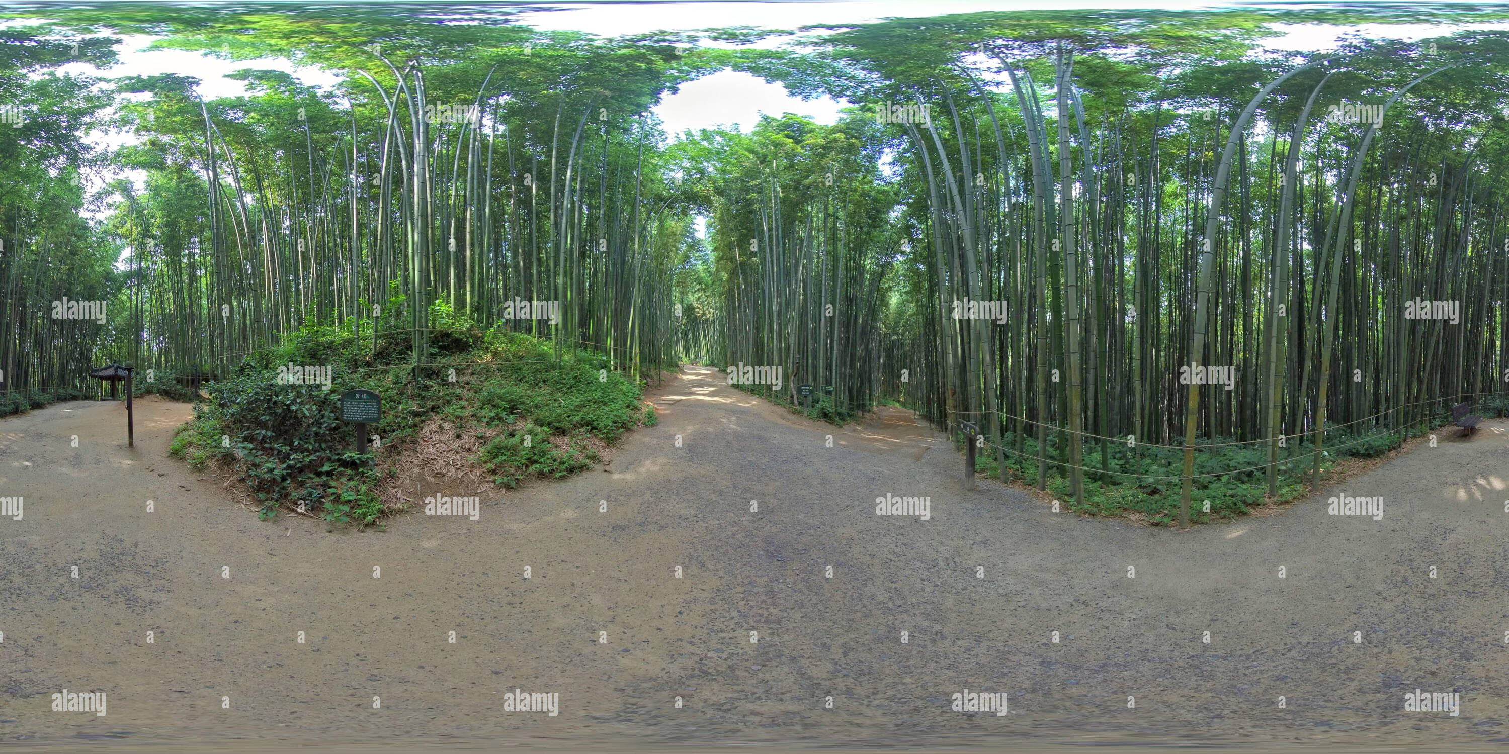 360° view of Damyang, South Korea - 24 July 2019 Juknokwon. 360 degrees ...