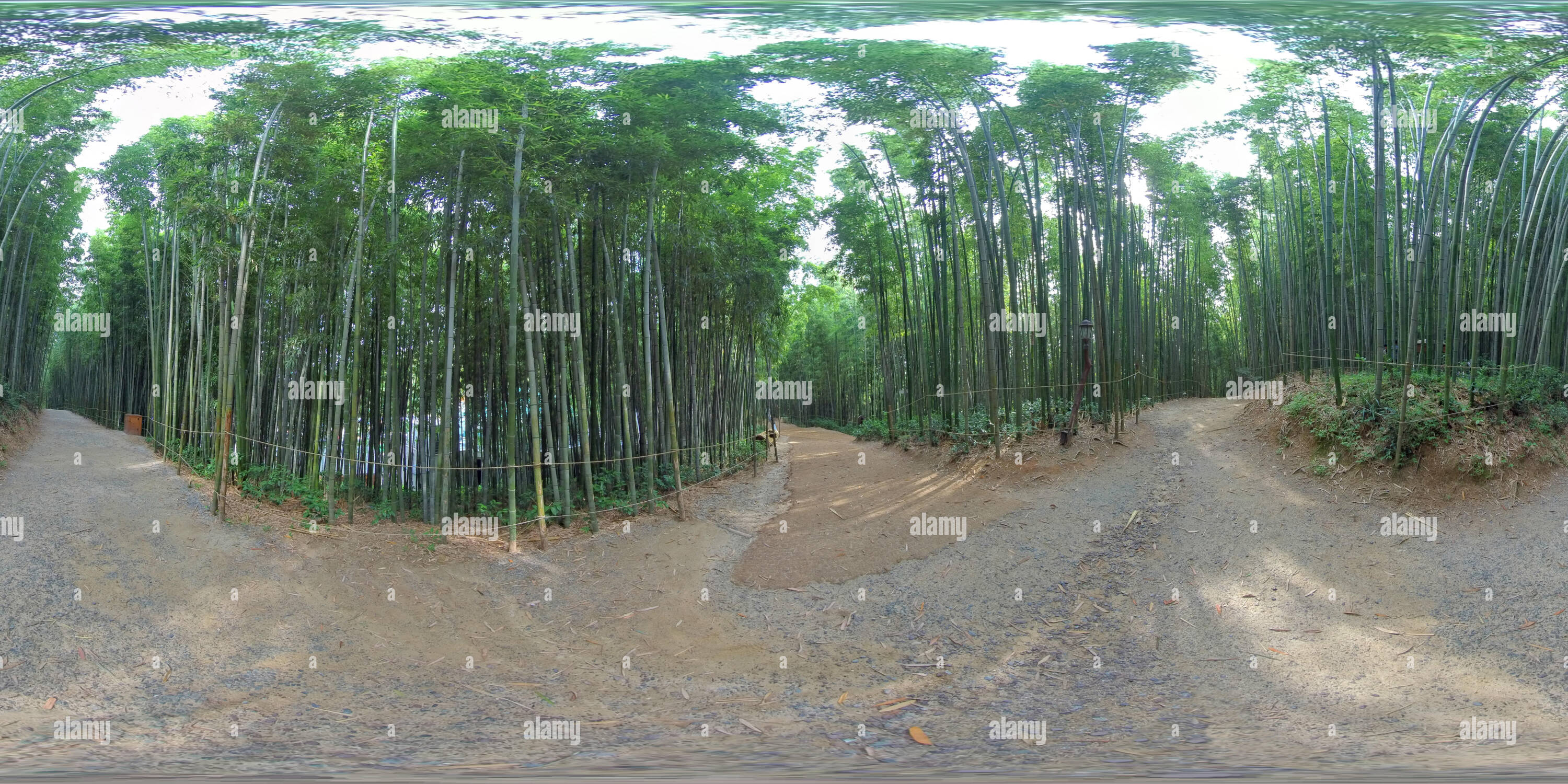 360° view of Damyang, South Korea - 24 July 2019 Juknokwon. 360 degrees ...