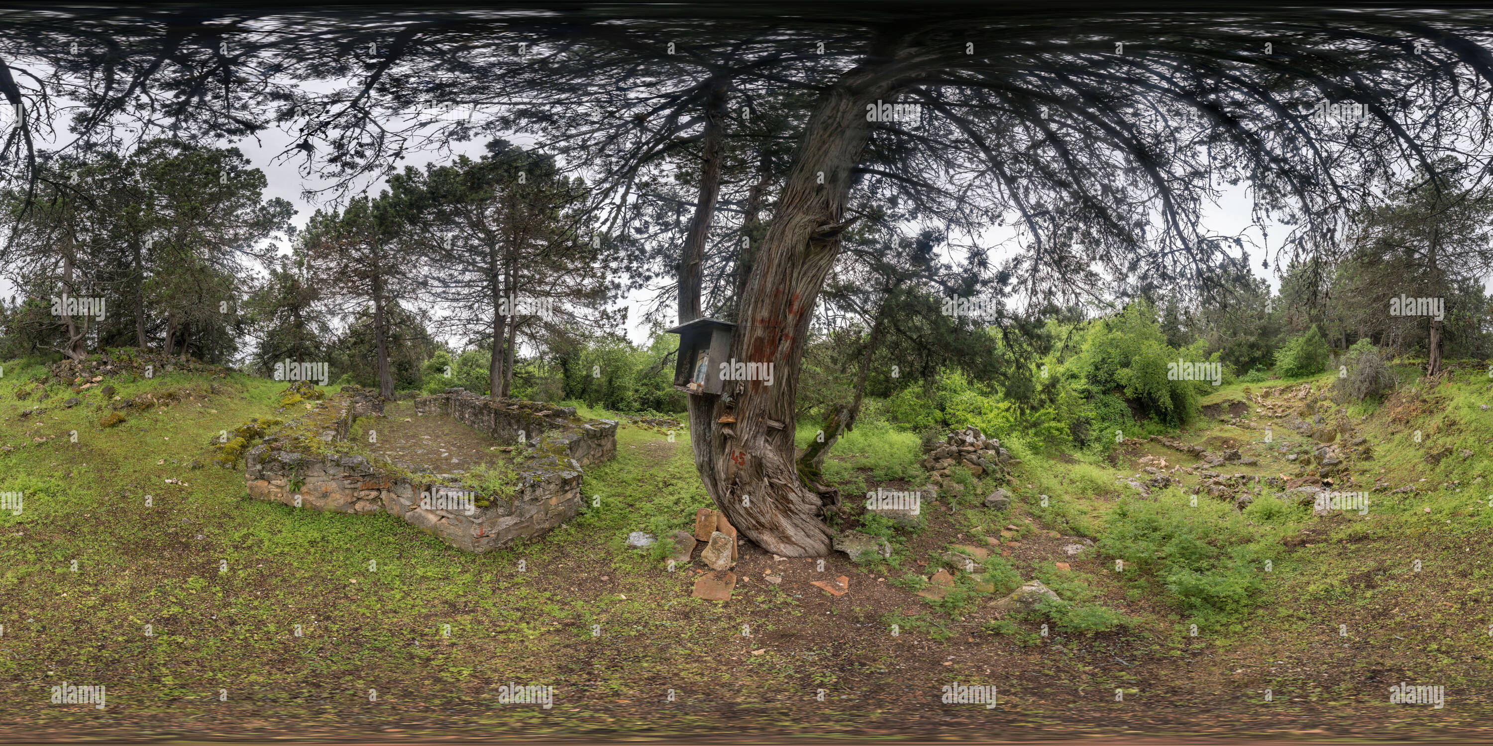 360° view of Golem Grad. Ruined Church - Alamy