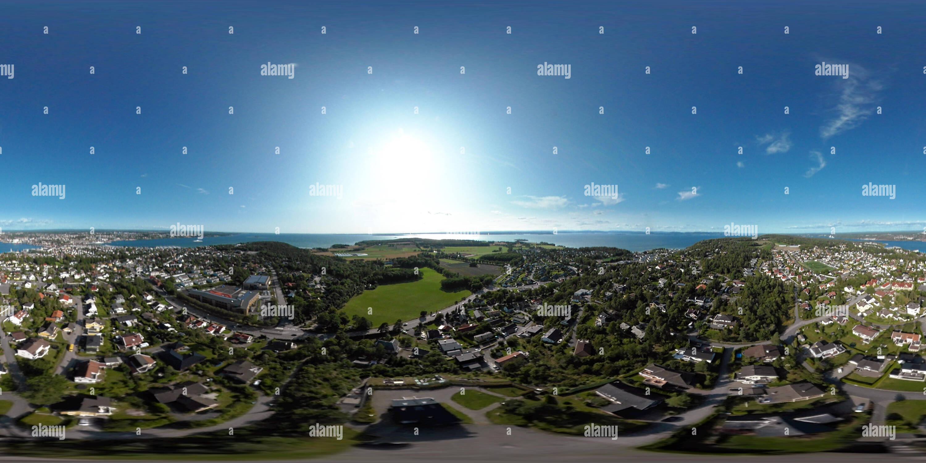 Stubben hi-res stock photography and images - Alamy