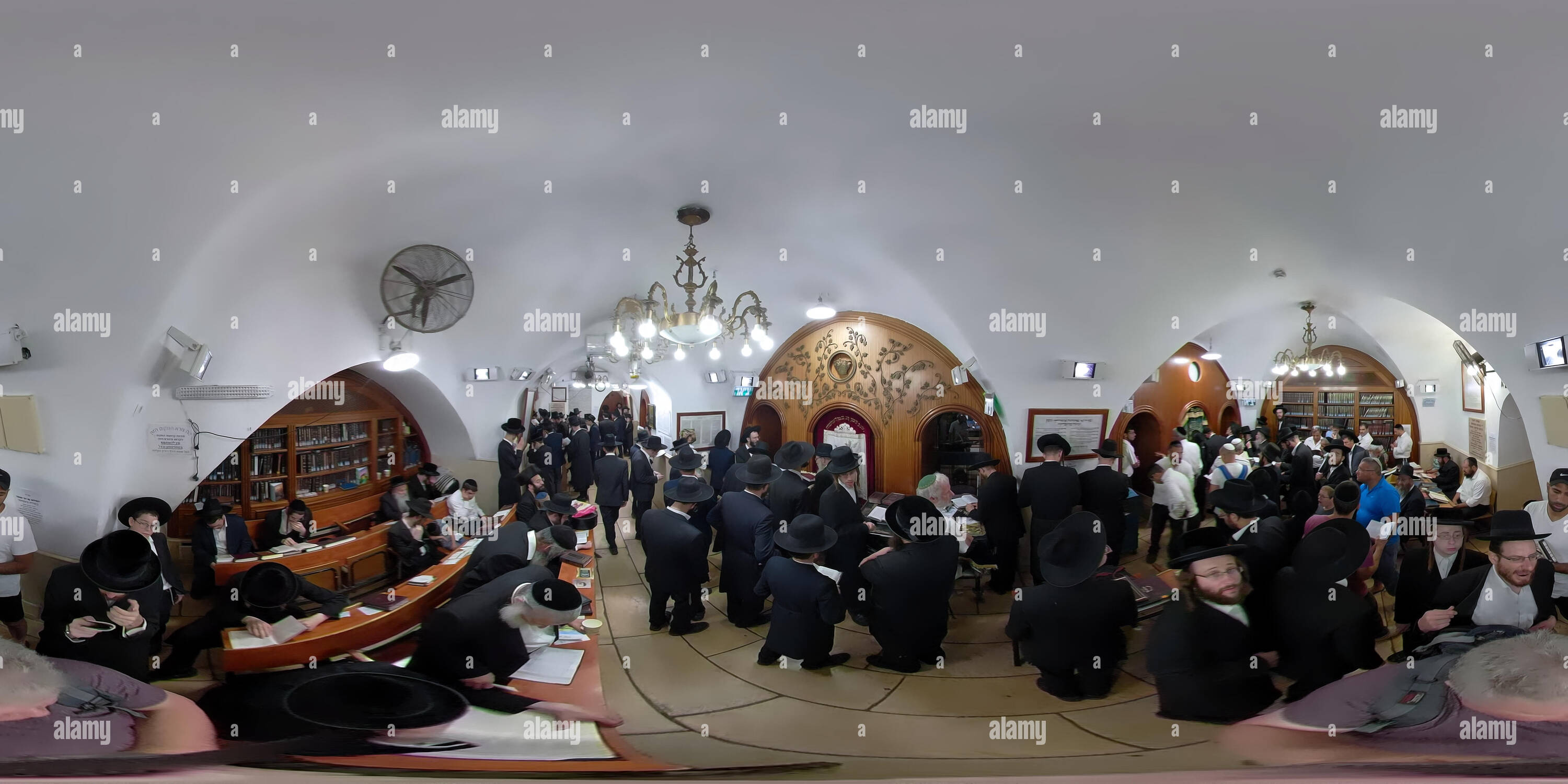 Tu bav -Fotos und -Bildmaterial in hoher Auflösung – Alamy