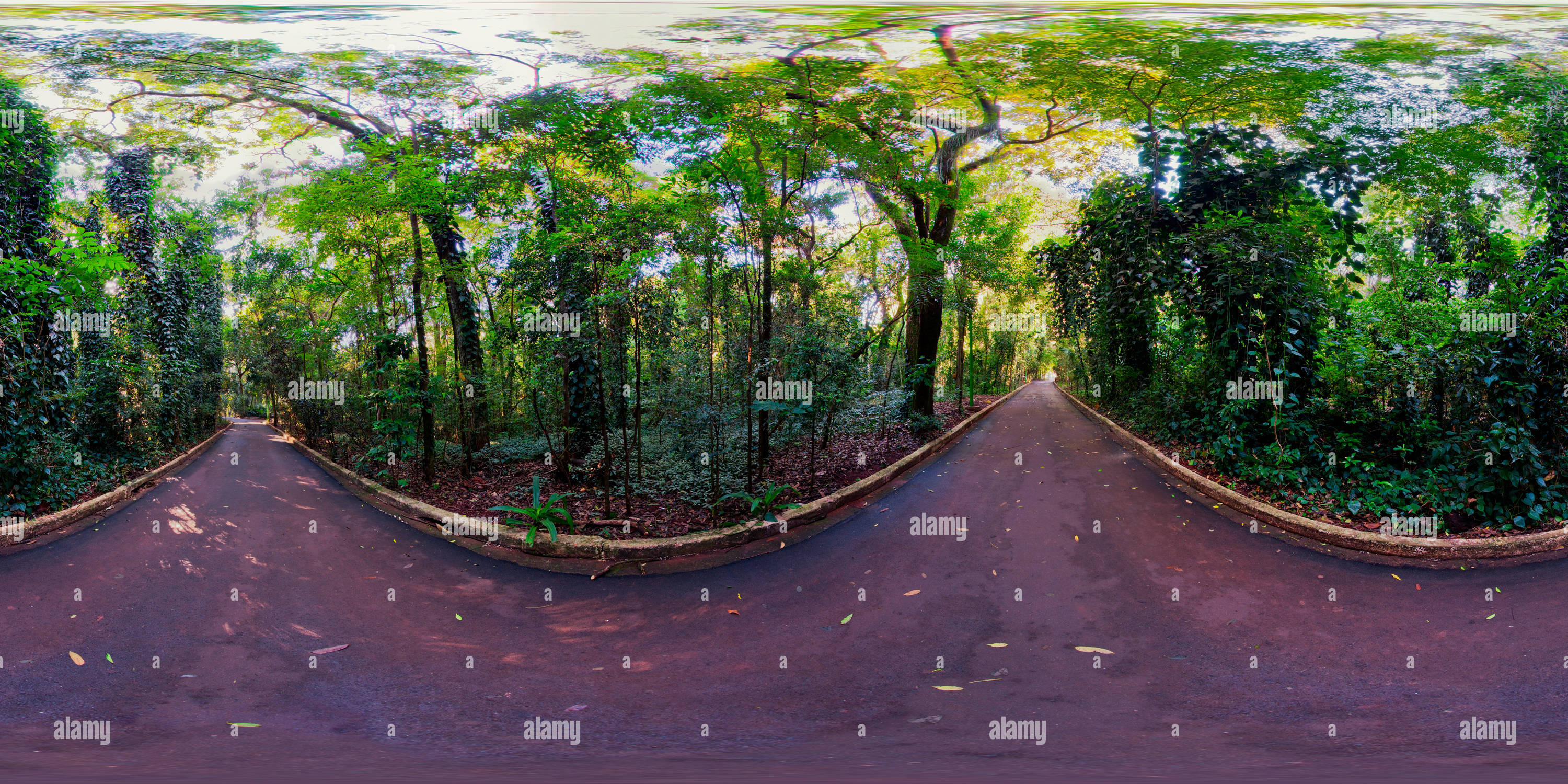 Parque do inga -Fotos und -Bildmaterial in hoher Auflösung – Alamy