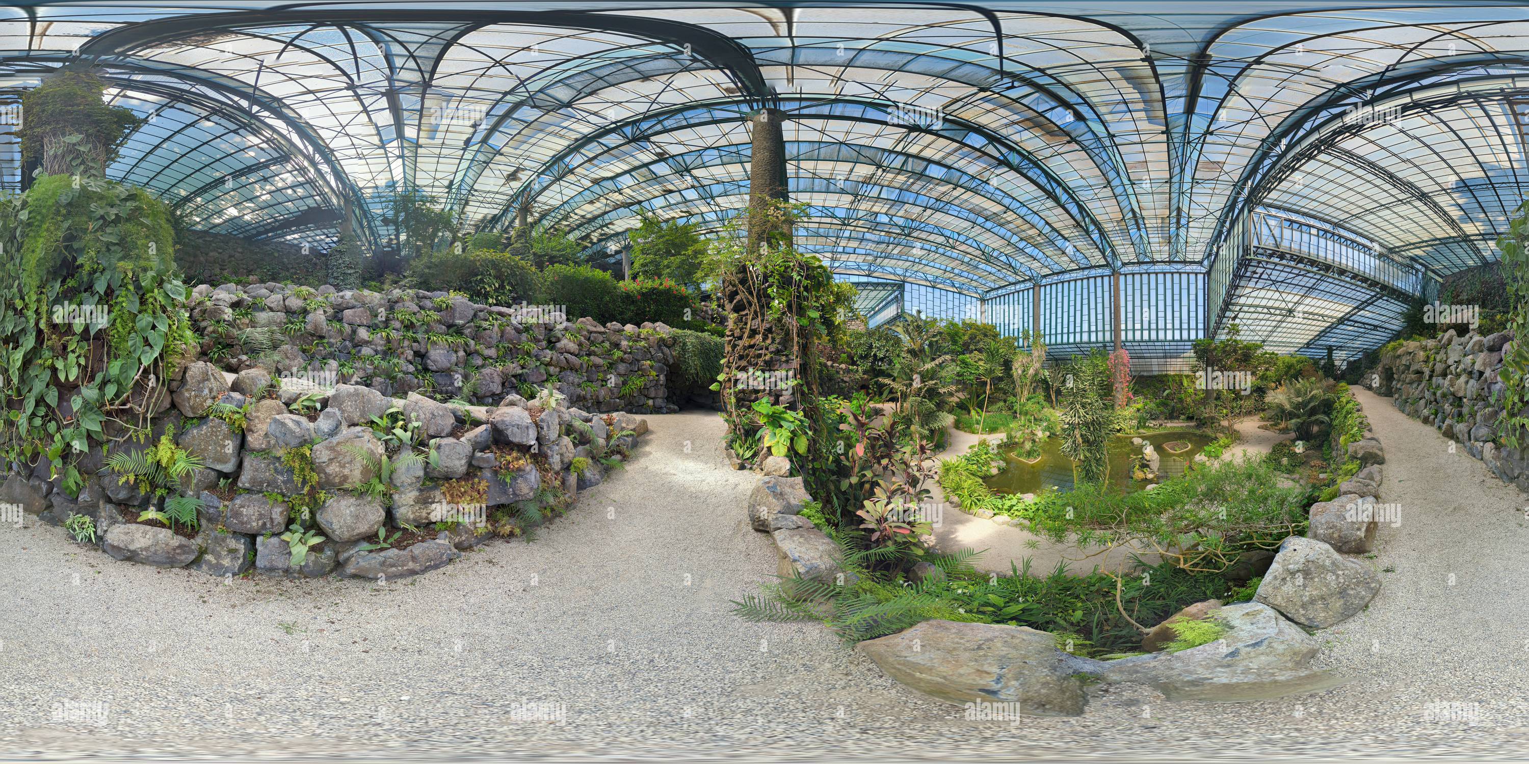 Die estufa fria -Fotos und -Bildmaterial in hoher Auflösung – Alamy