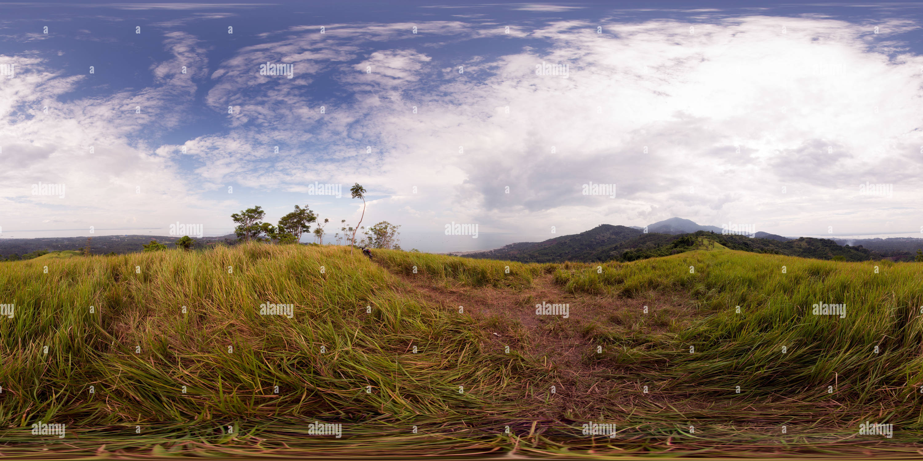 Sarang tiung -Fotos und -Bildmaterial in hoher Auflösung – Alamy