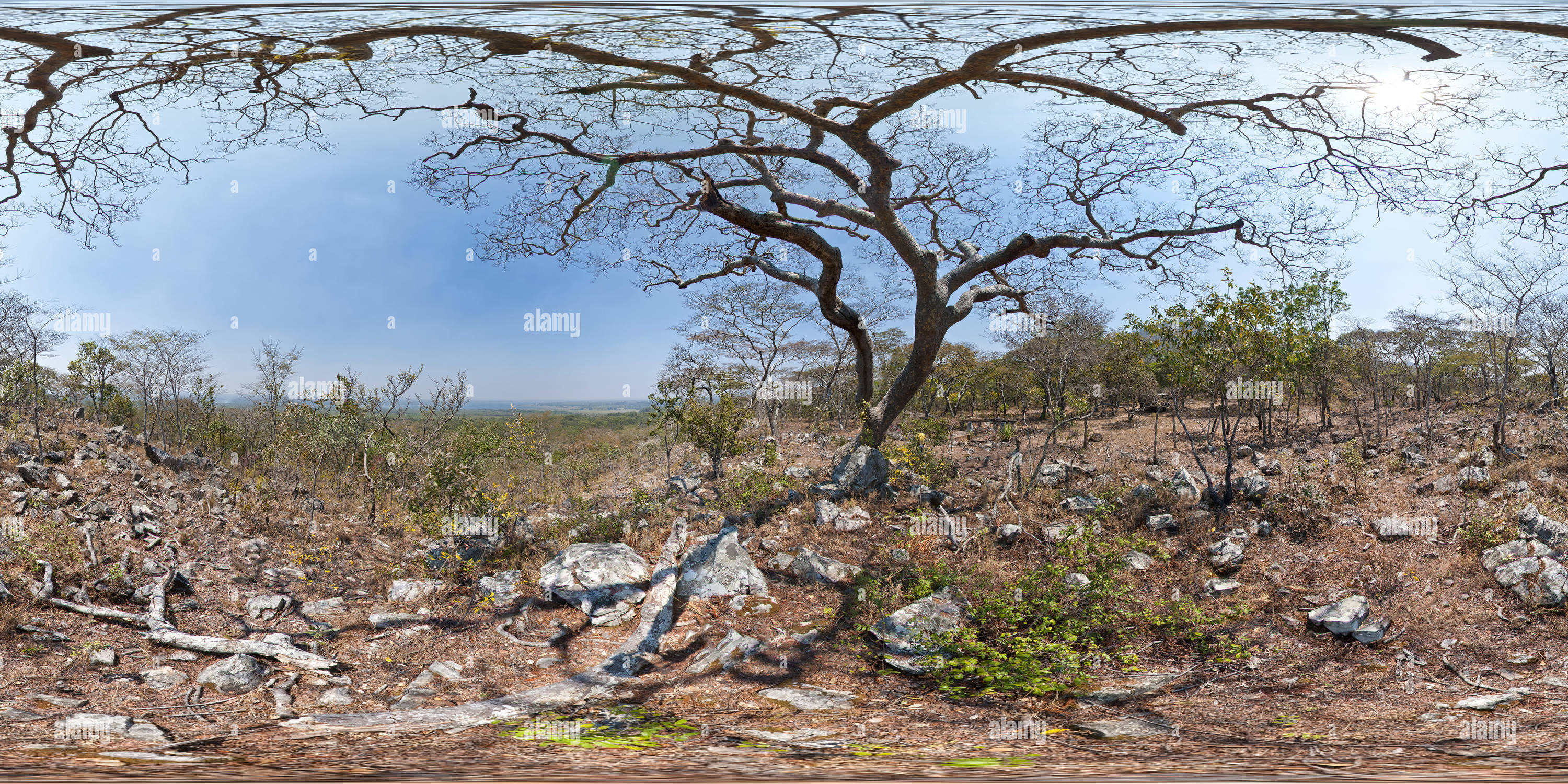 Shiwa ngandu -Fotos und -Bildmaterial in hoher Auflösung – Alamy