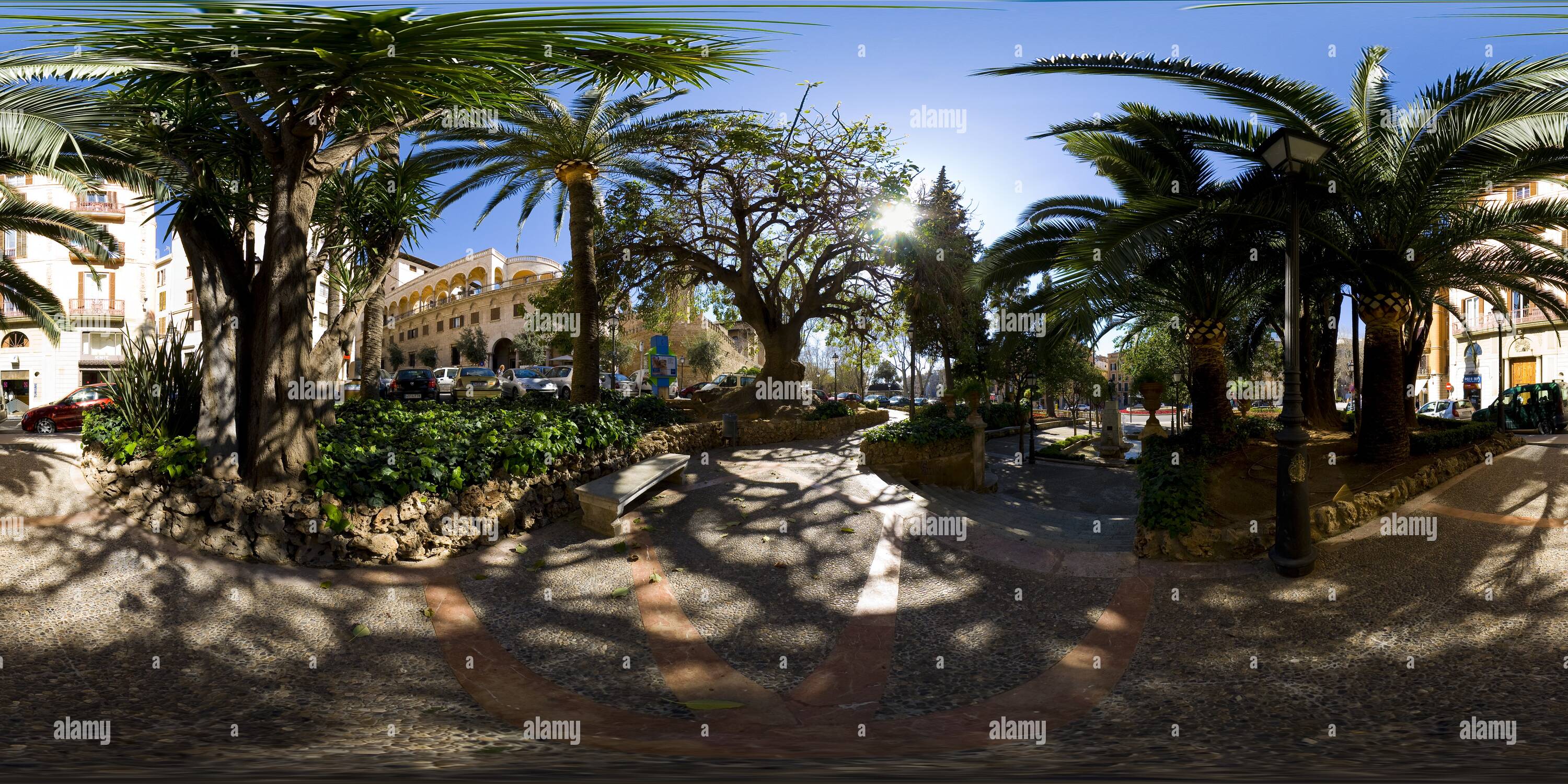 Placa de la reina palma -Fotos und -Bildmaterial in hoher Auflösung – Alamy