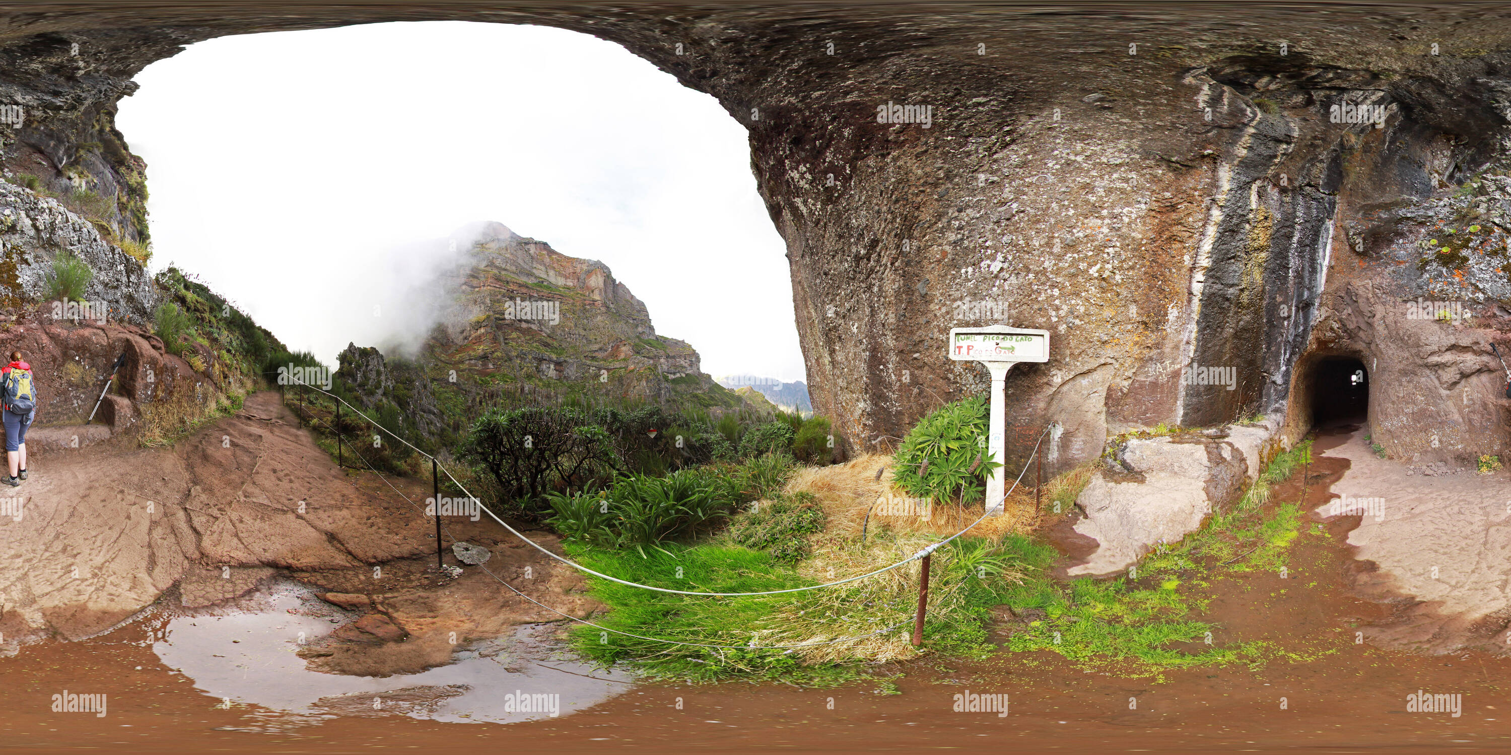 Pico do gato -Fotos und -Bildmaterial in hoher Auflösung – Alamy