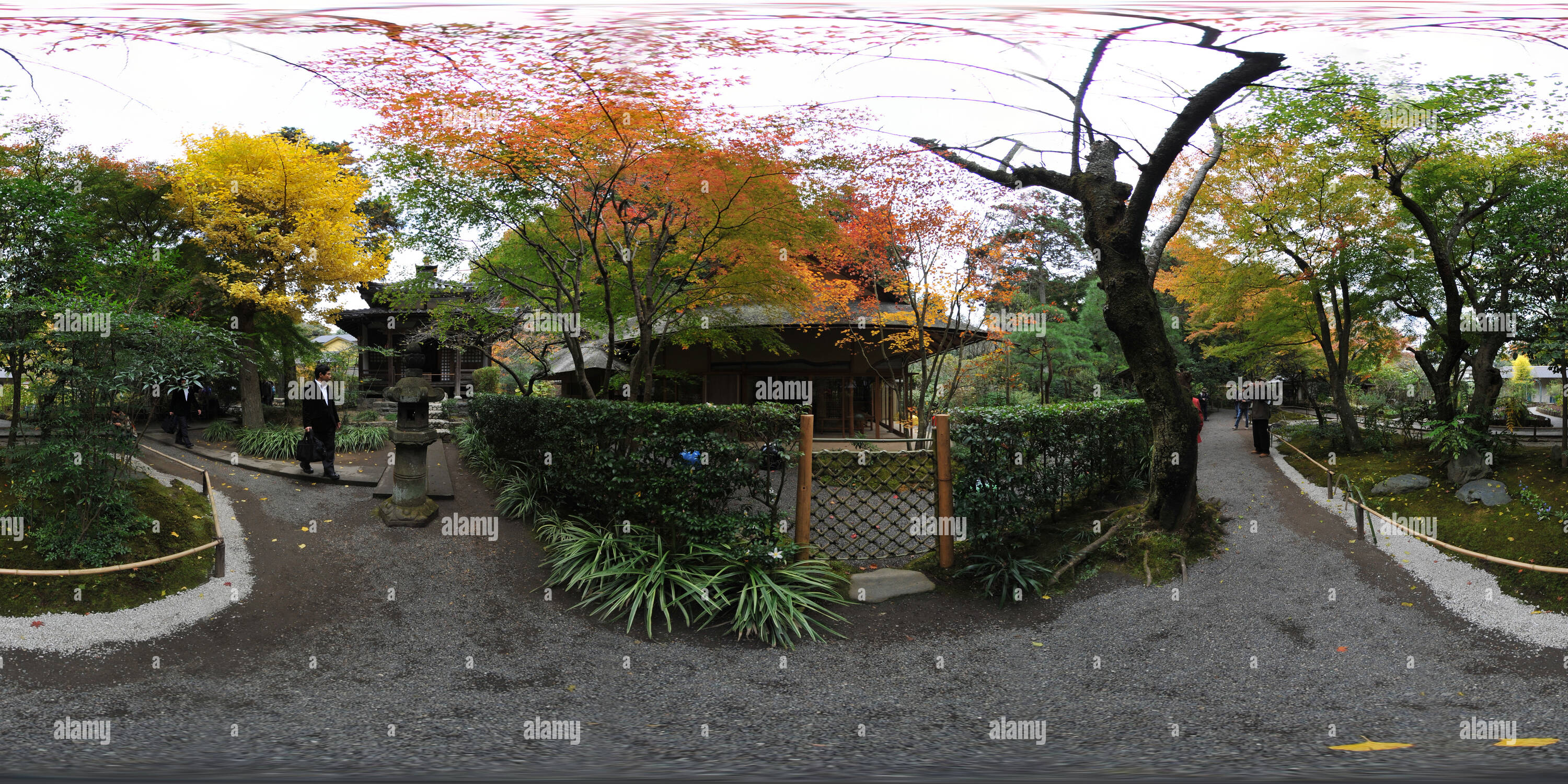 360 °-Ansicht auf Meigetsu-in Tempel, Kamakura - Alamy