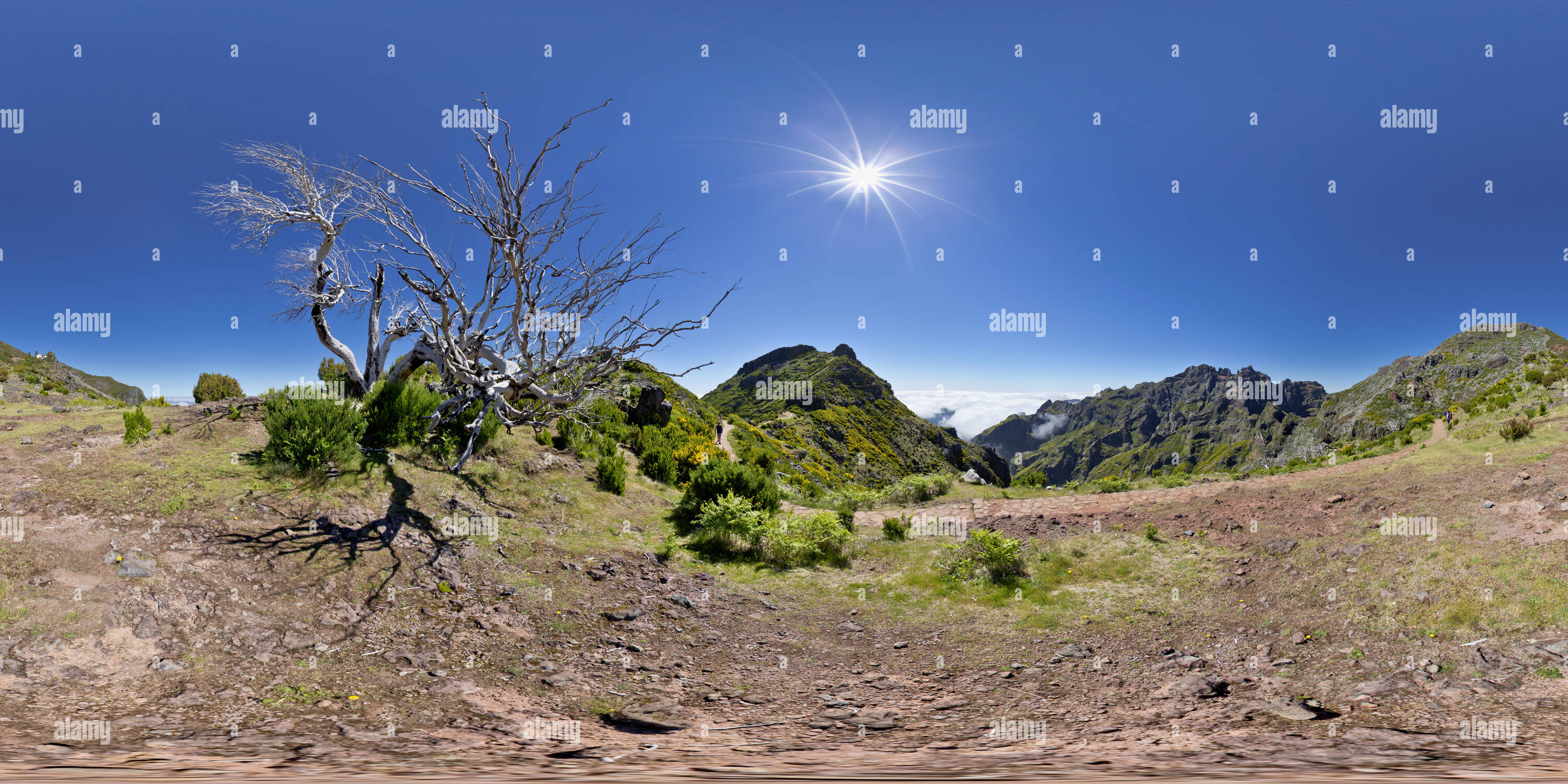 Pico del sol -Fotos und -Bildmaterial in hoher Auflösung – Alamy