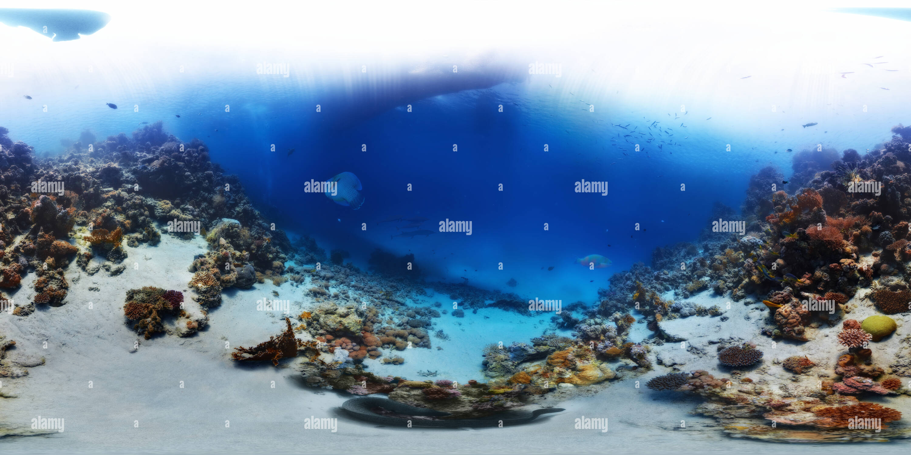 Marsa shouna -Fotos und -Bildmaterial in hoher Auflösung – Alamy