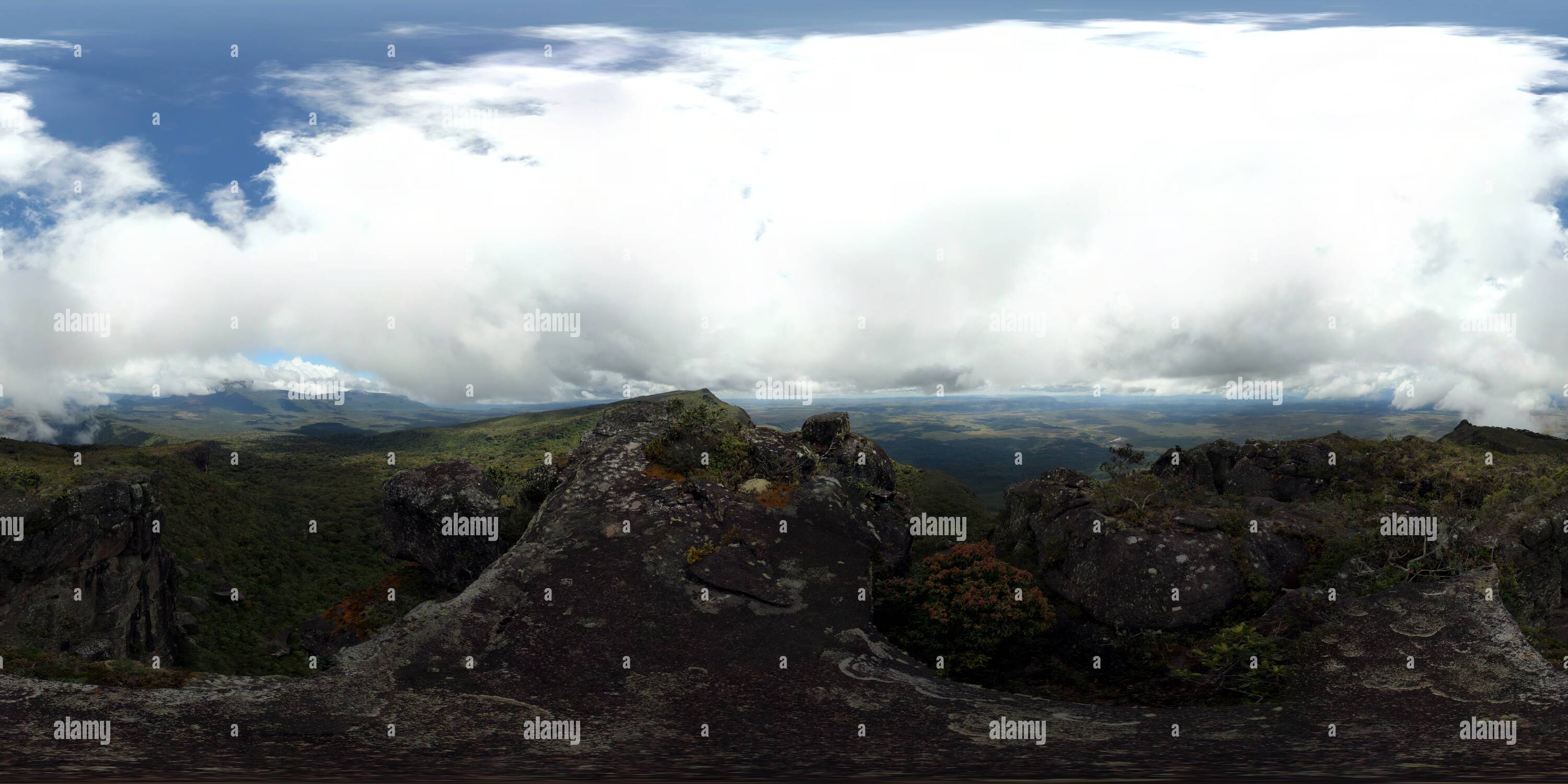 Tepui guayana -Fotos und -Bildmaterial in hoher Auflösung – Alamy