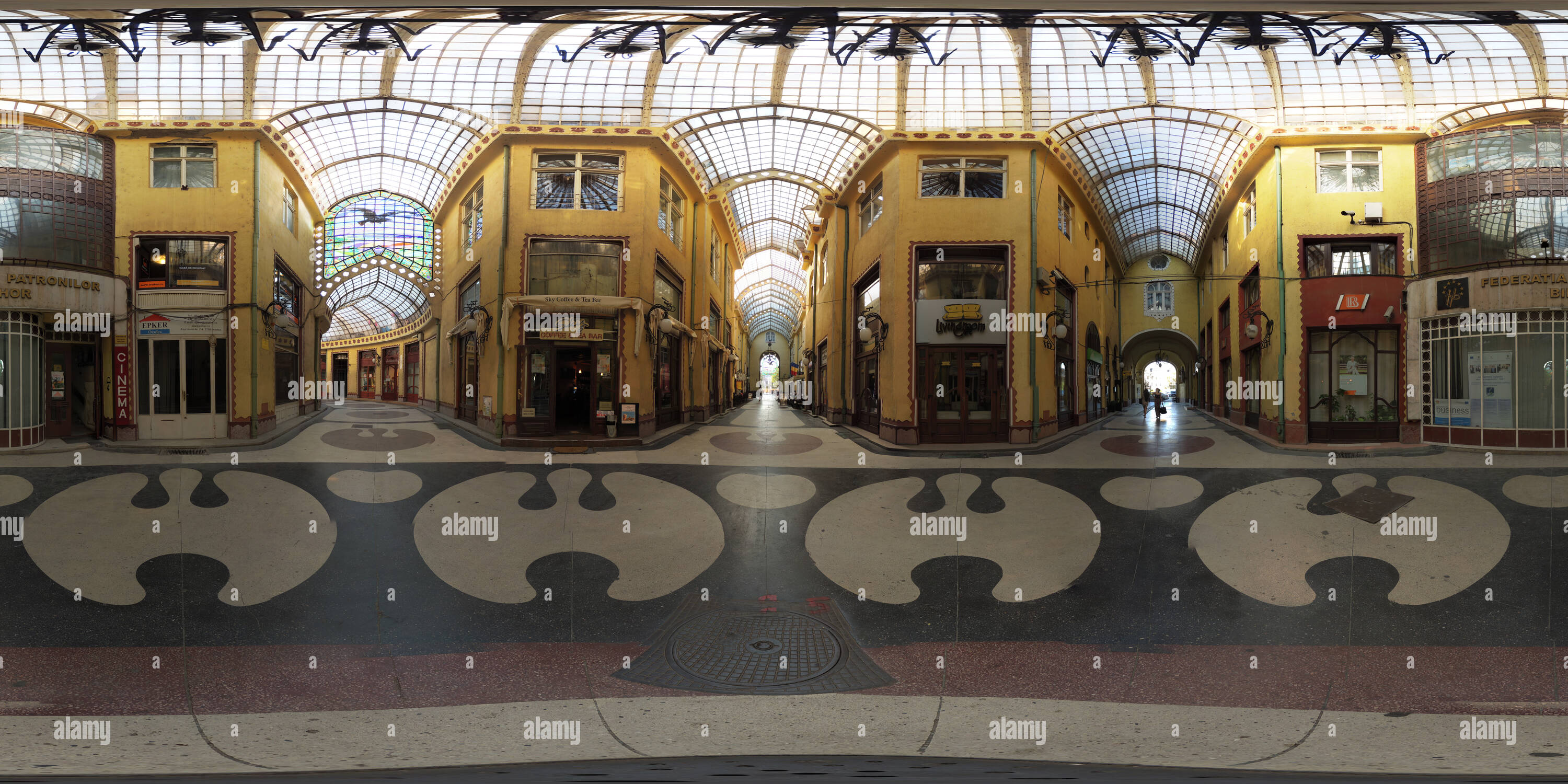 Pasajul vulturul negru -Fotos und -Bildmaterial in hoher Auflösung – Alamy