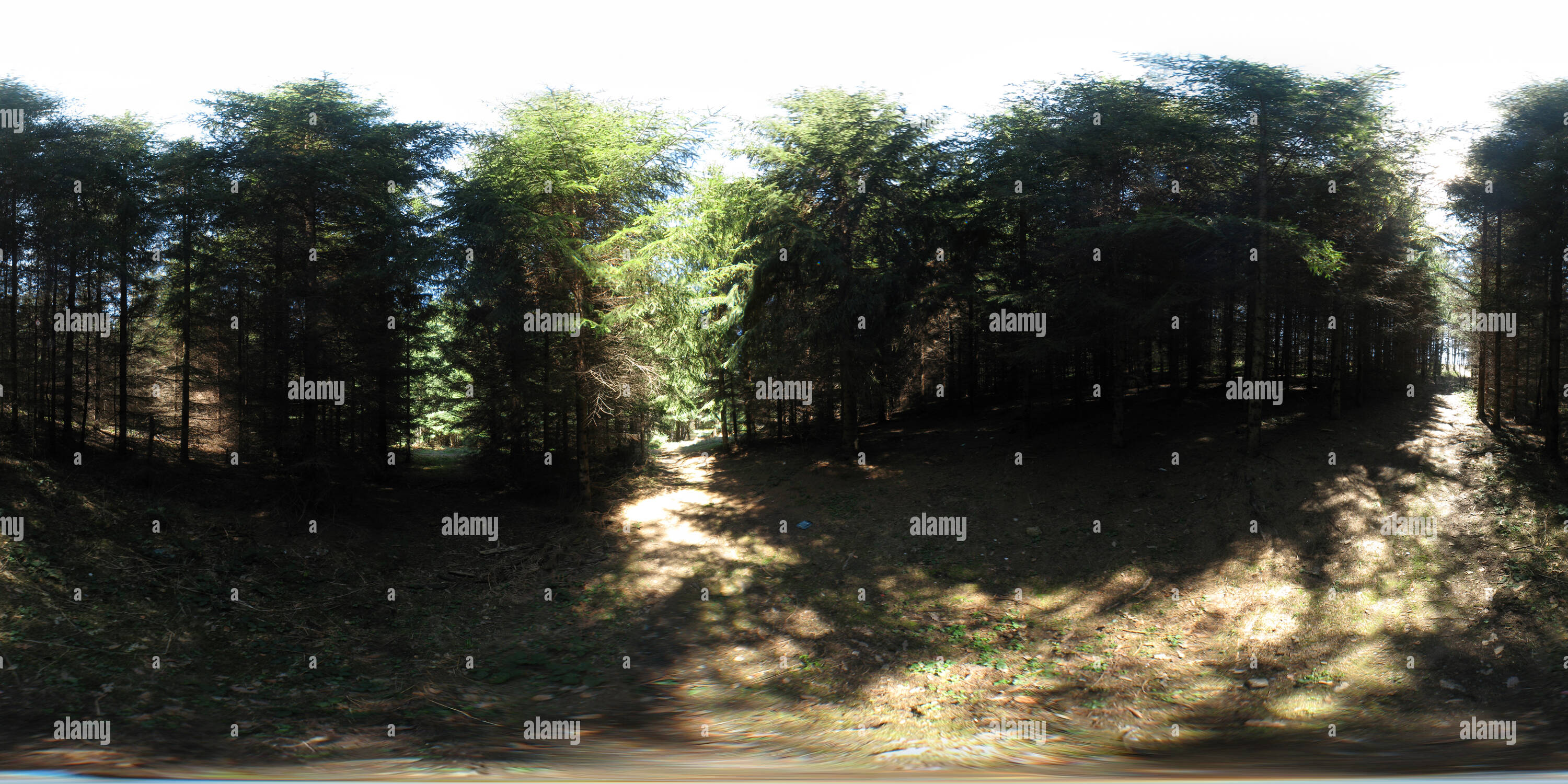 Mucina voda -Fotos und -Bildmaterial in hoher Auflösung – Alamy
